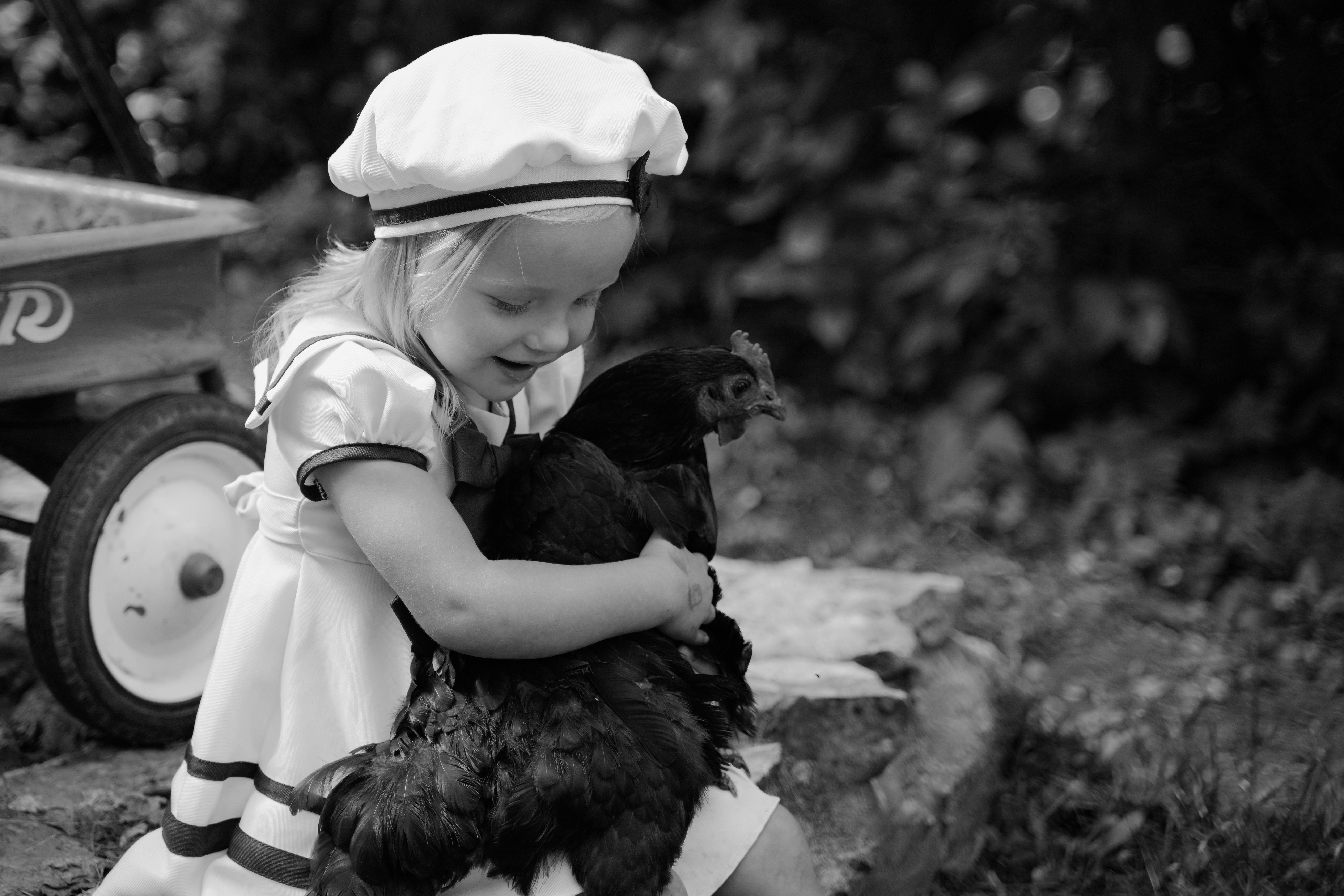 Hen Hug Photos, Download The BEST Free Hen Hug Stock Photos & HD Images