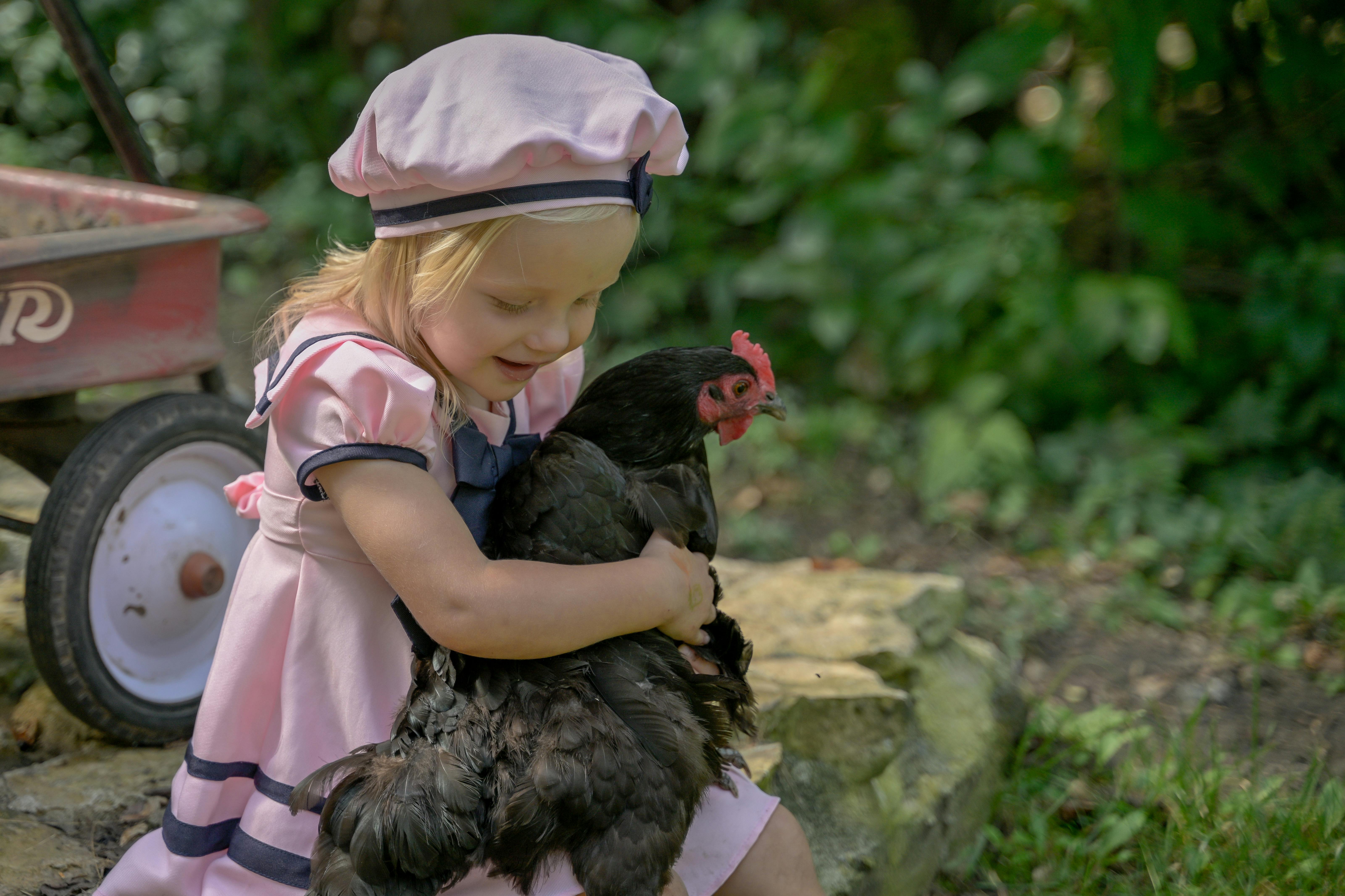 Little Girl Embracing Chicken in Garden · Free Stock Photo