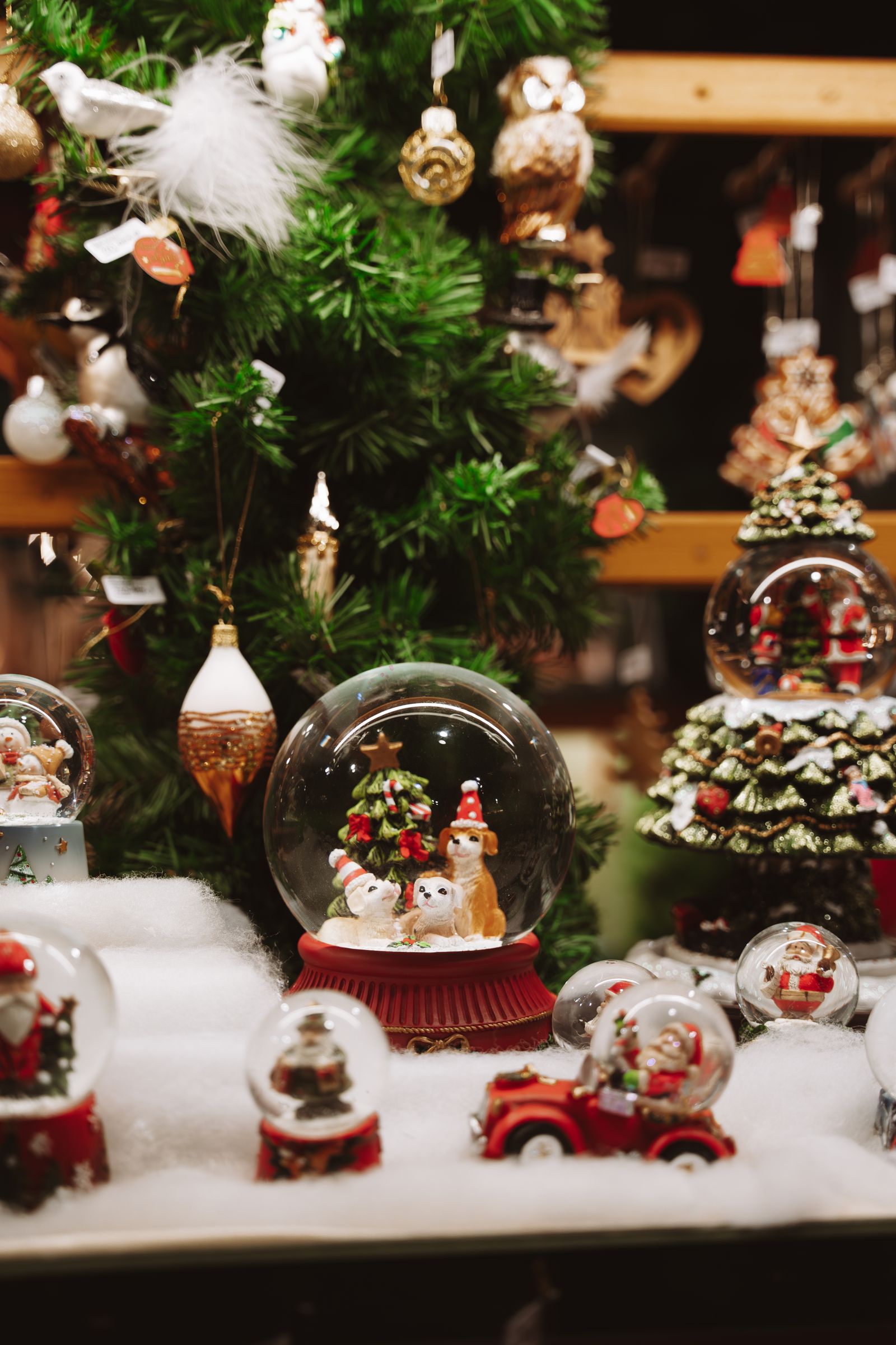 Christmas Scenes Photos, Download The BEST Free Christmas Scenes Stock ...