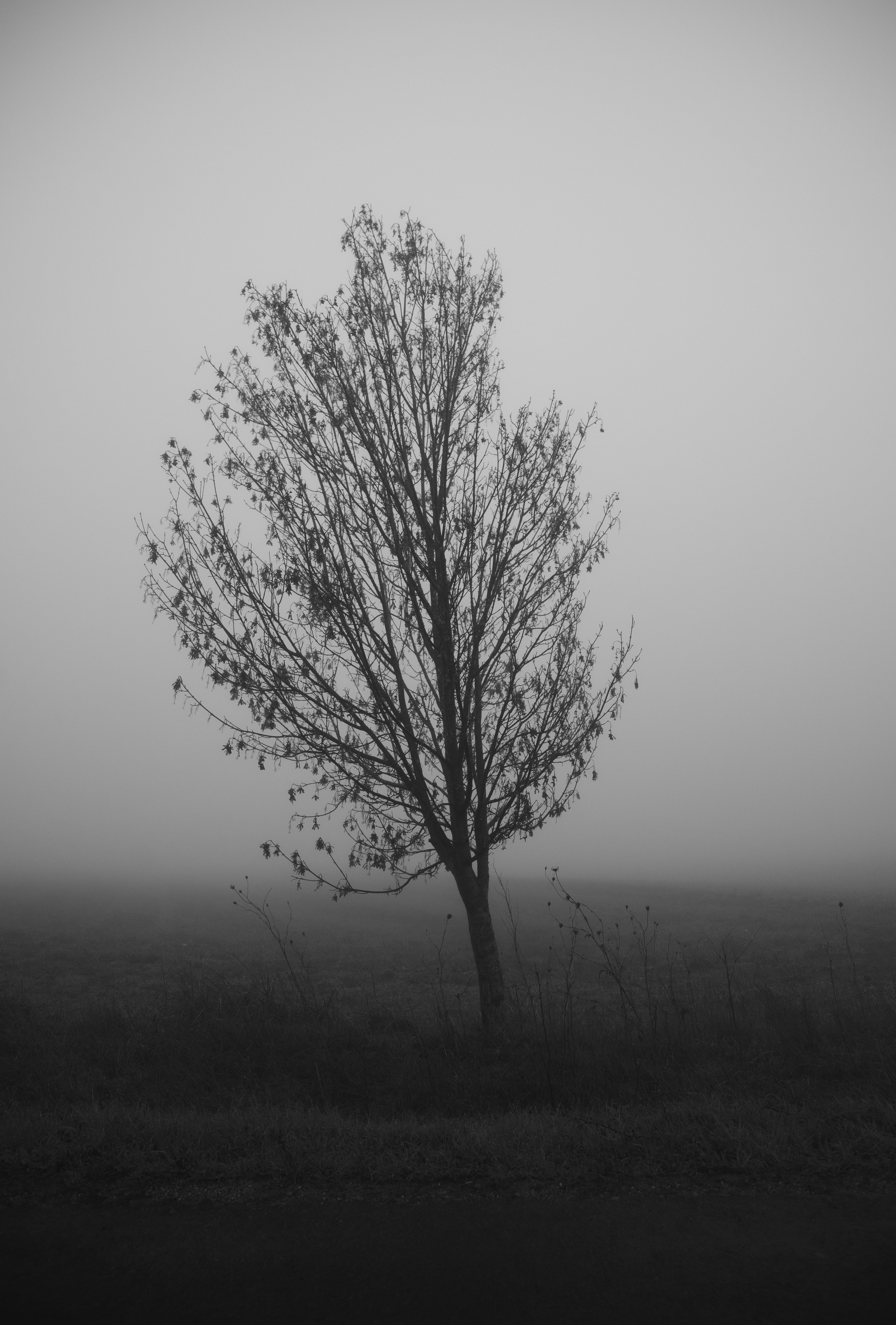 Bnw Landscape Photos, Download The BEST Free Bnw Landscape Stock Photos ...
