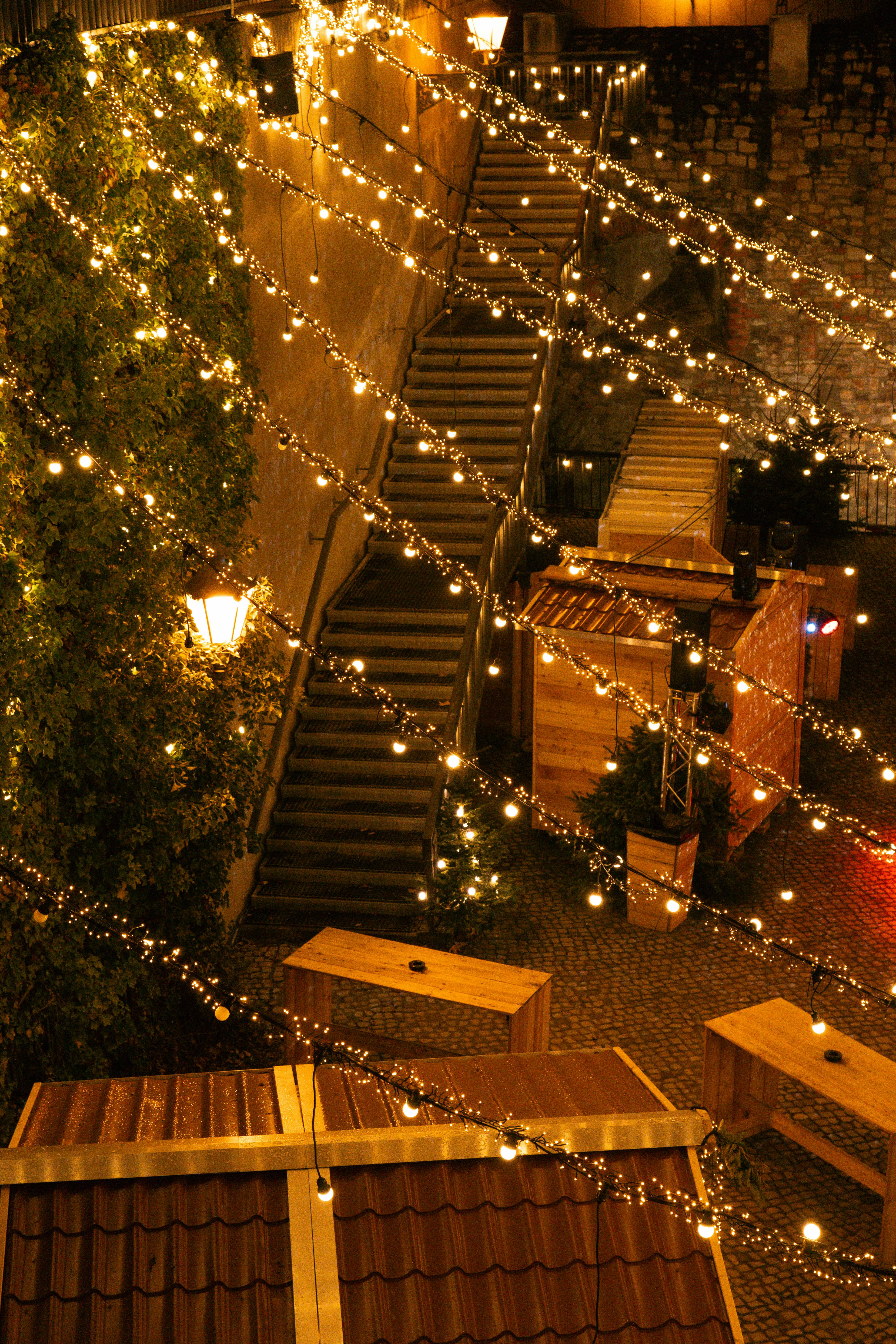 Festive Outdoor Night Scene with String Lights · Free Stock Photo