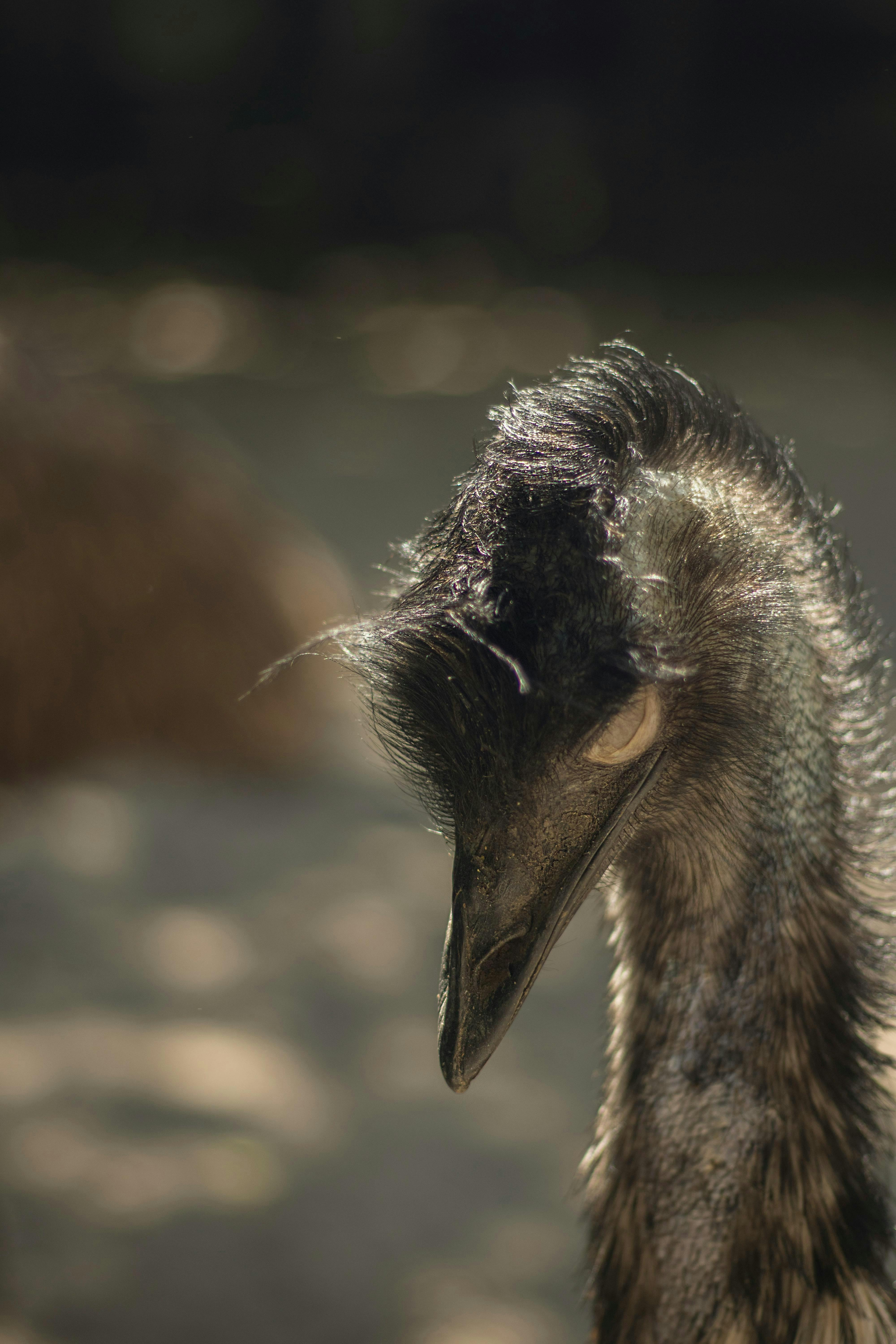 Tato Non Tradisional Photos, Download The BEST Free Tato Non ...