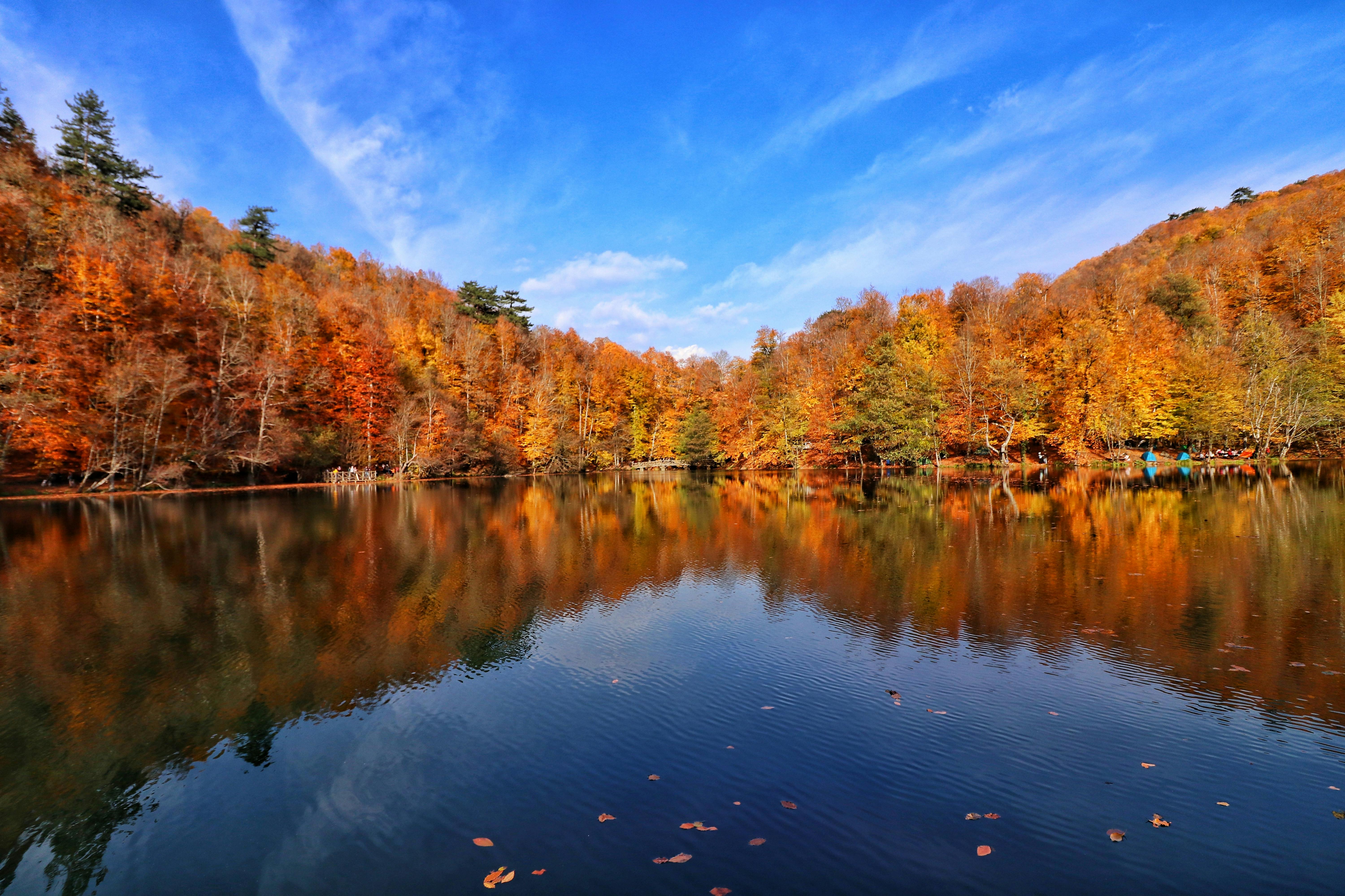 Vibrant Autumn Forest Reflection in Lake · Free Stock Photo