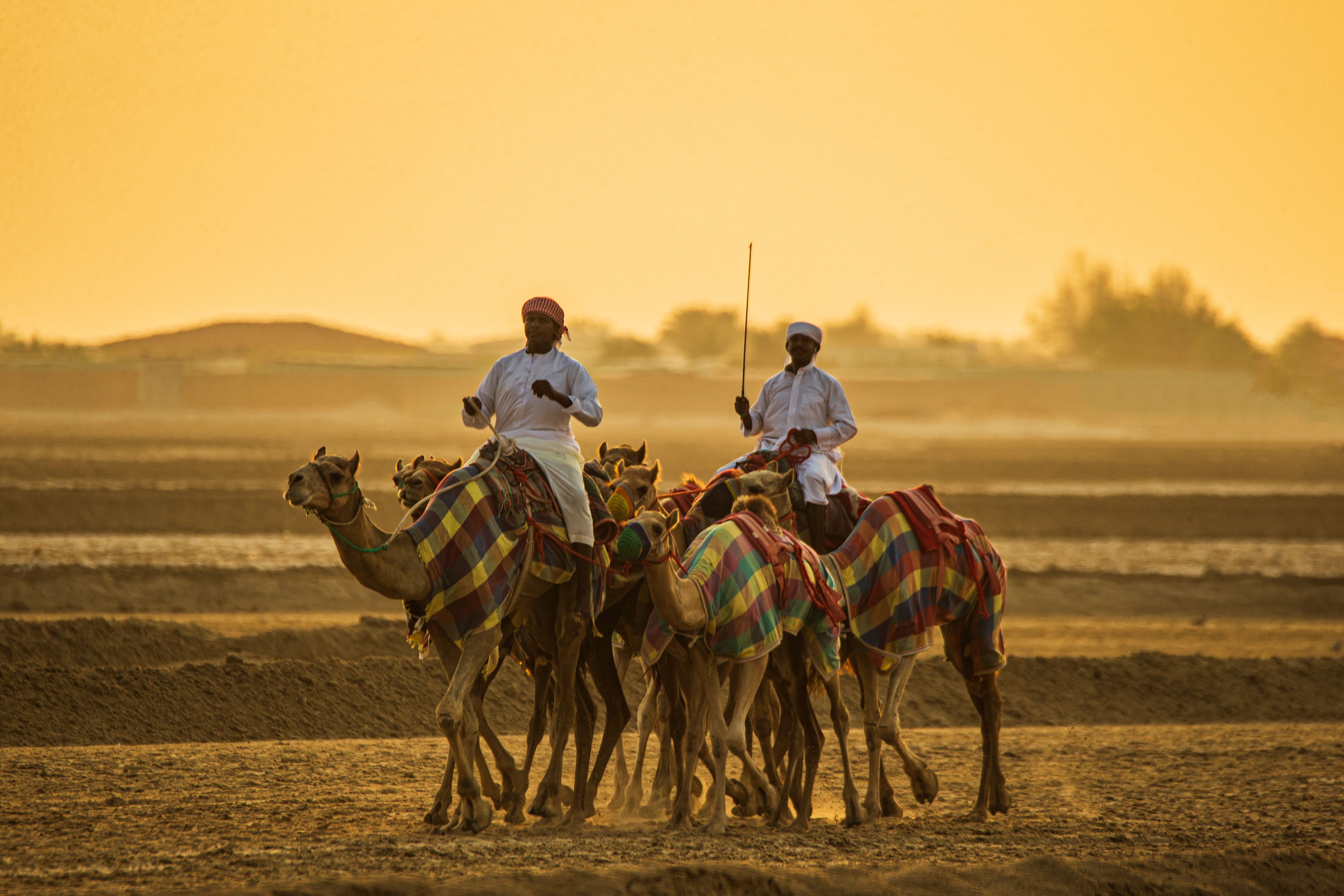 Camel Riders at Sunset in Desert Landscape · Free Stock Photo
