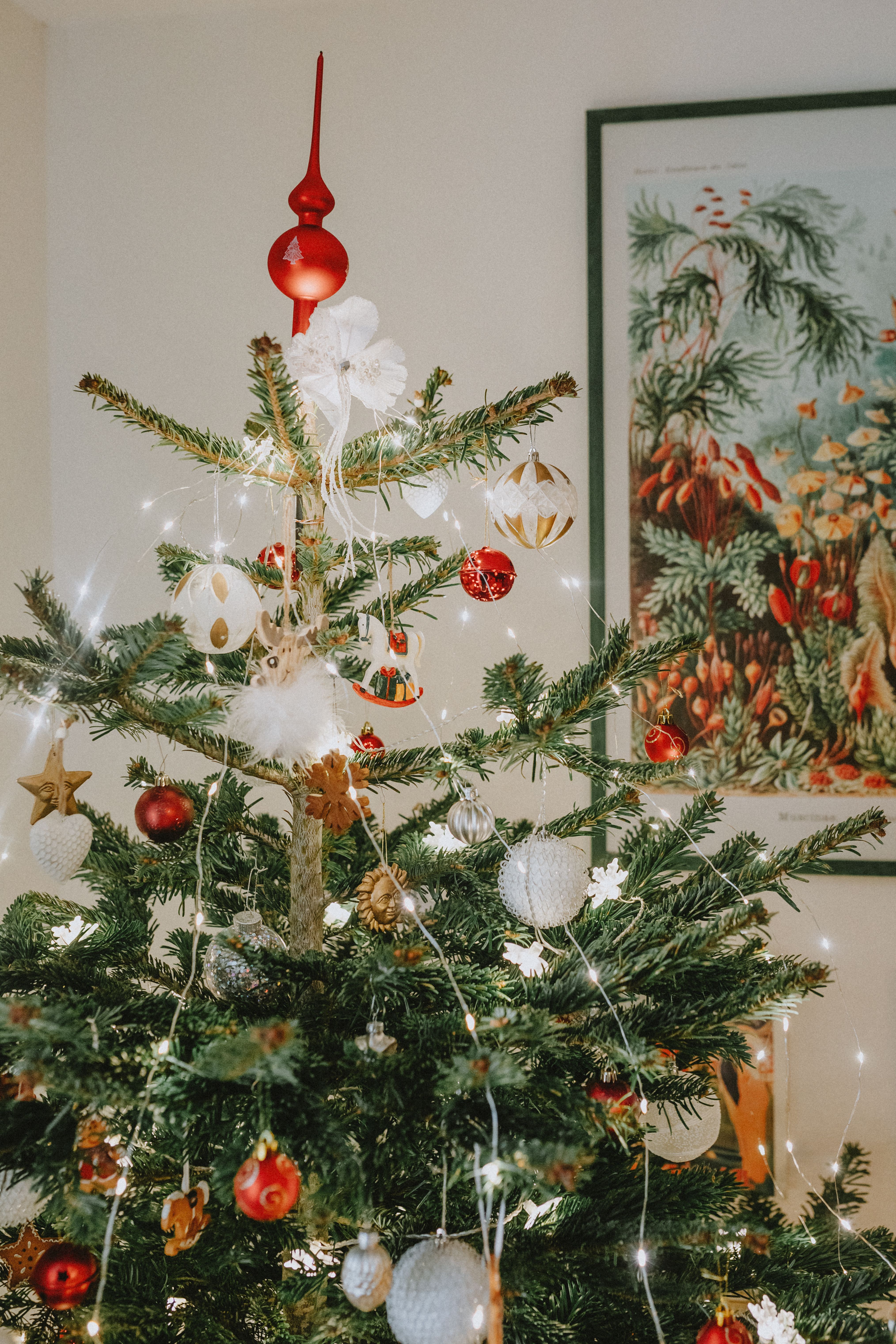 Festive Christmas Tree Decorated with Ornaments · Free Stock Photo
