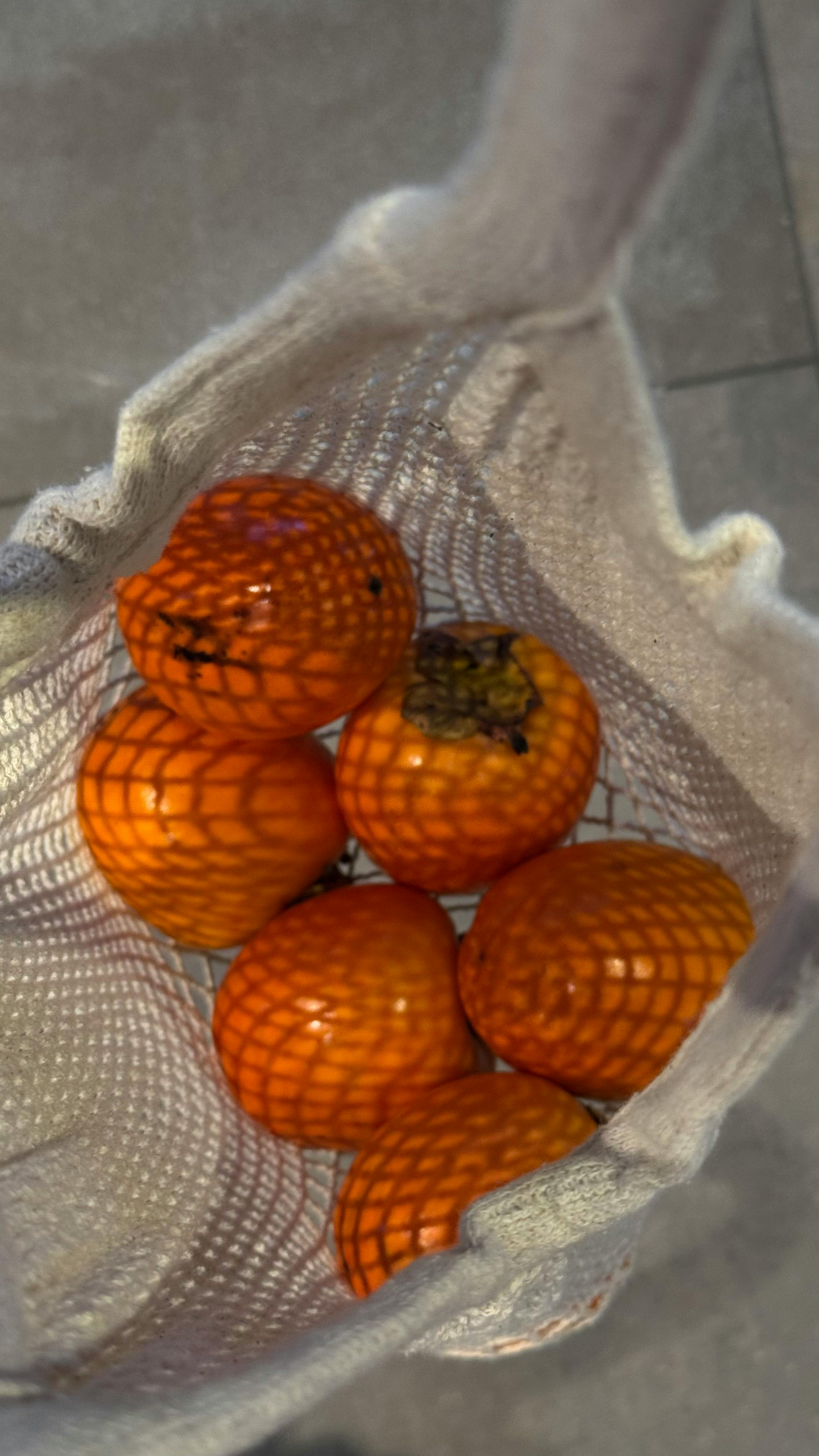 Tetiana Androshchuk - Photography