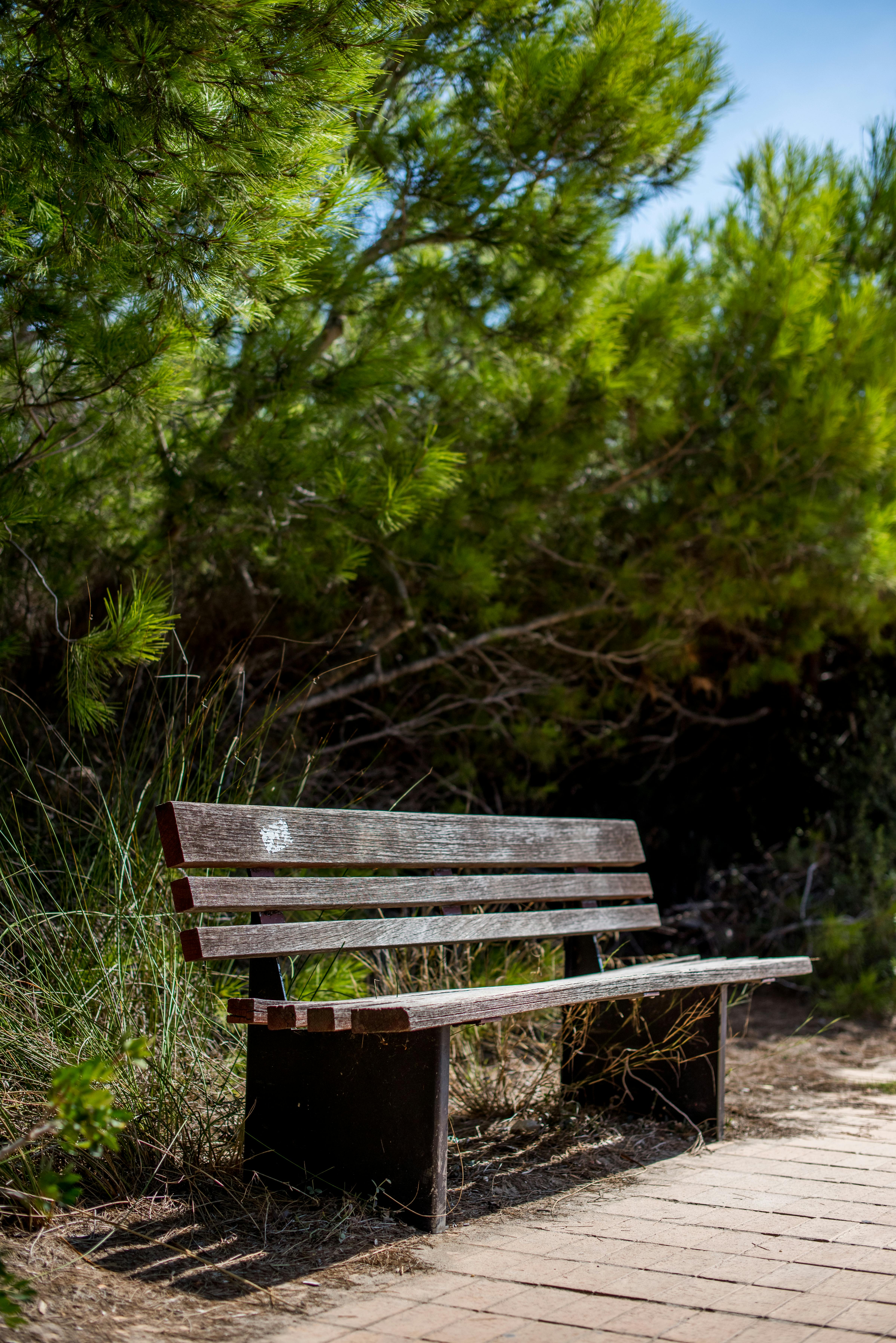 Brown Wooden Outdoor Bench during Day Time · Free Stock Photo