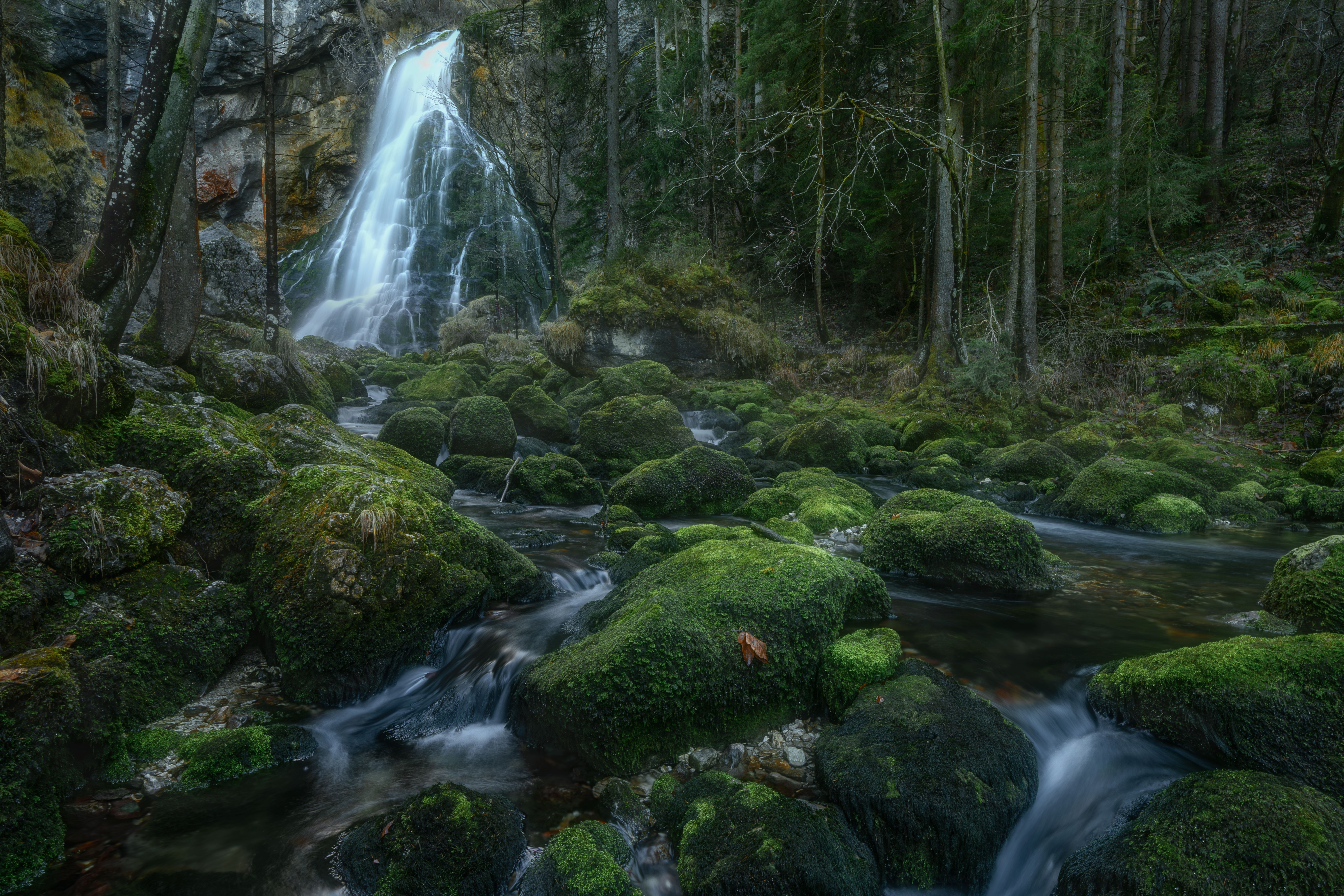 Serene Austrian Waterfall Surrounded by Lush Greenery · Free Stock Photo