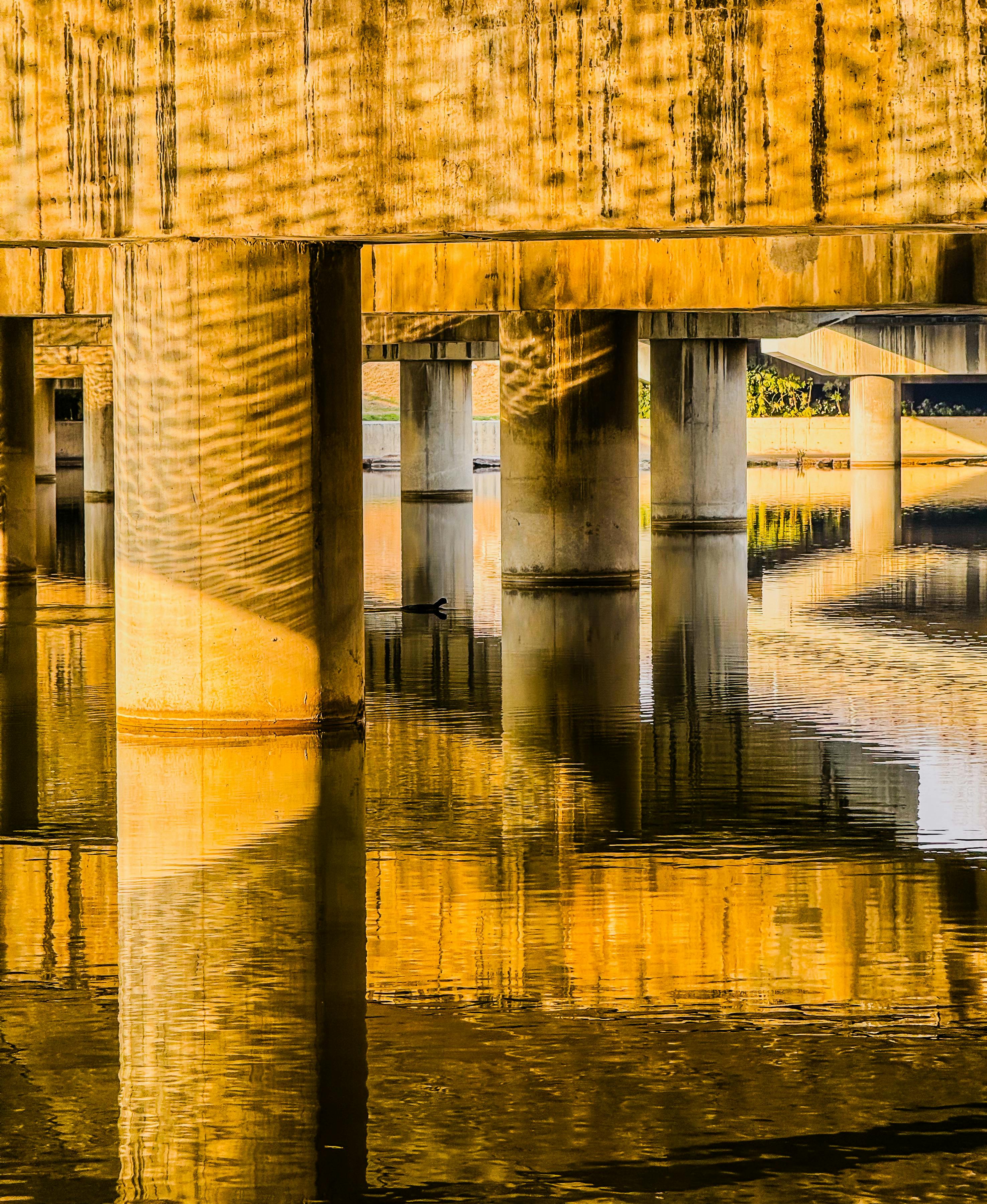 Golden Reflections Under Urban Bridge · Free Stock Photo
