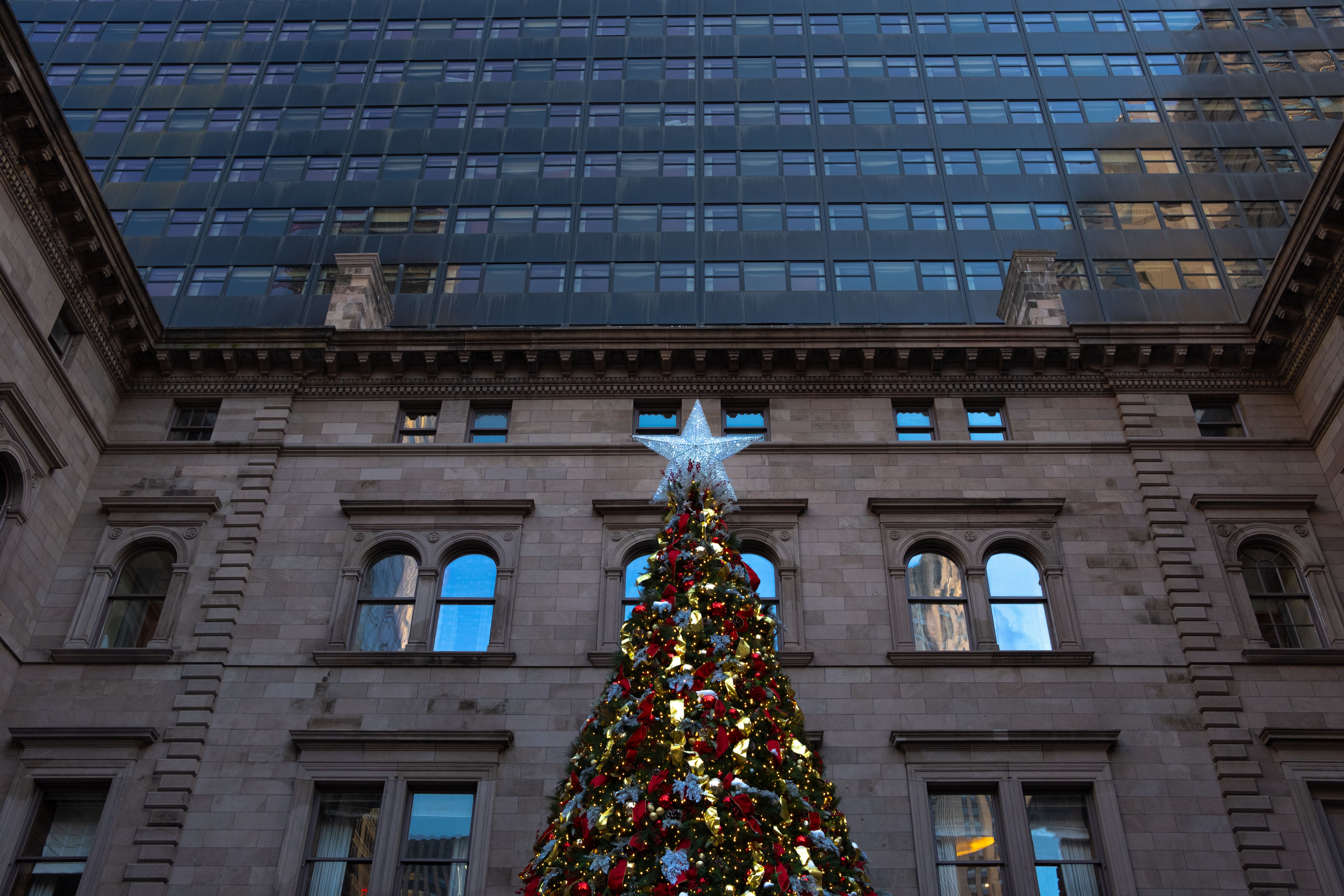Festive Christmas Tree in Urban Courtyard · Free Stock Photo