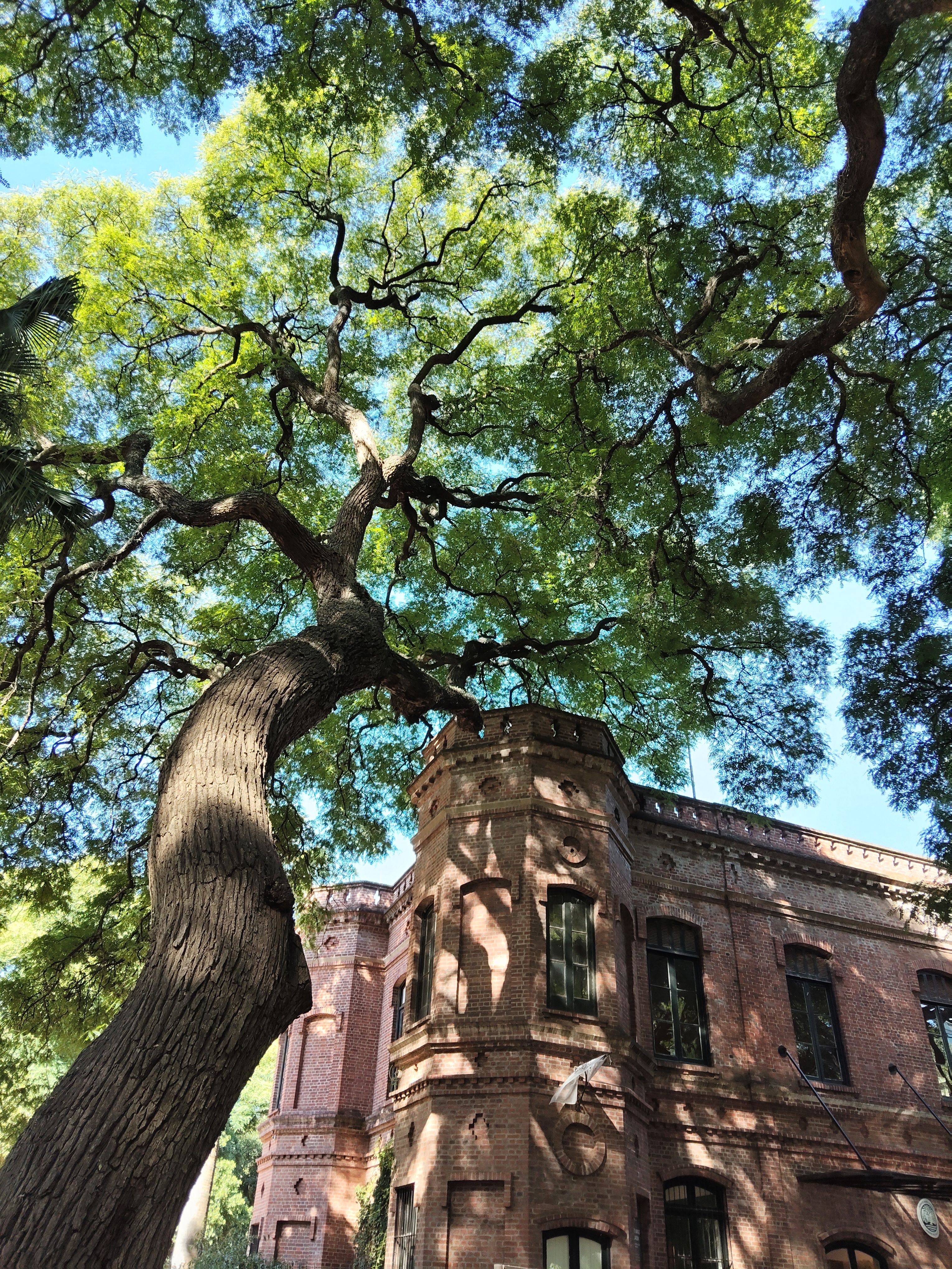 Historic Brick Building with Overhanging Trees · Free Stock Photo