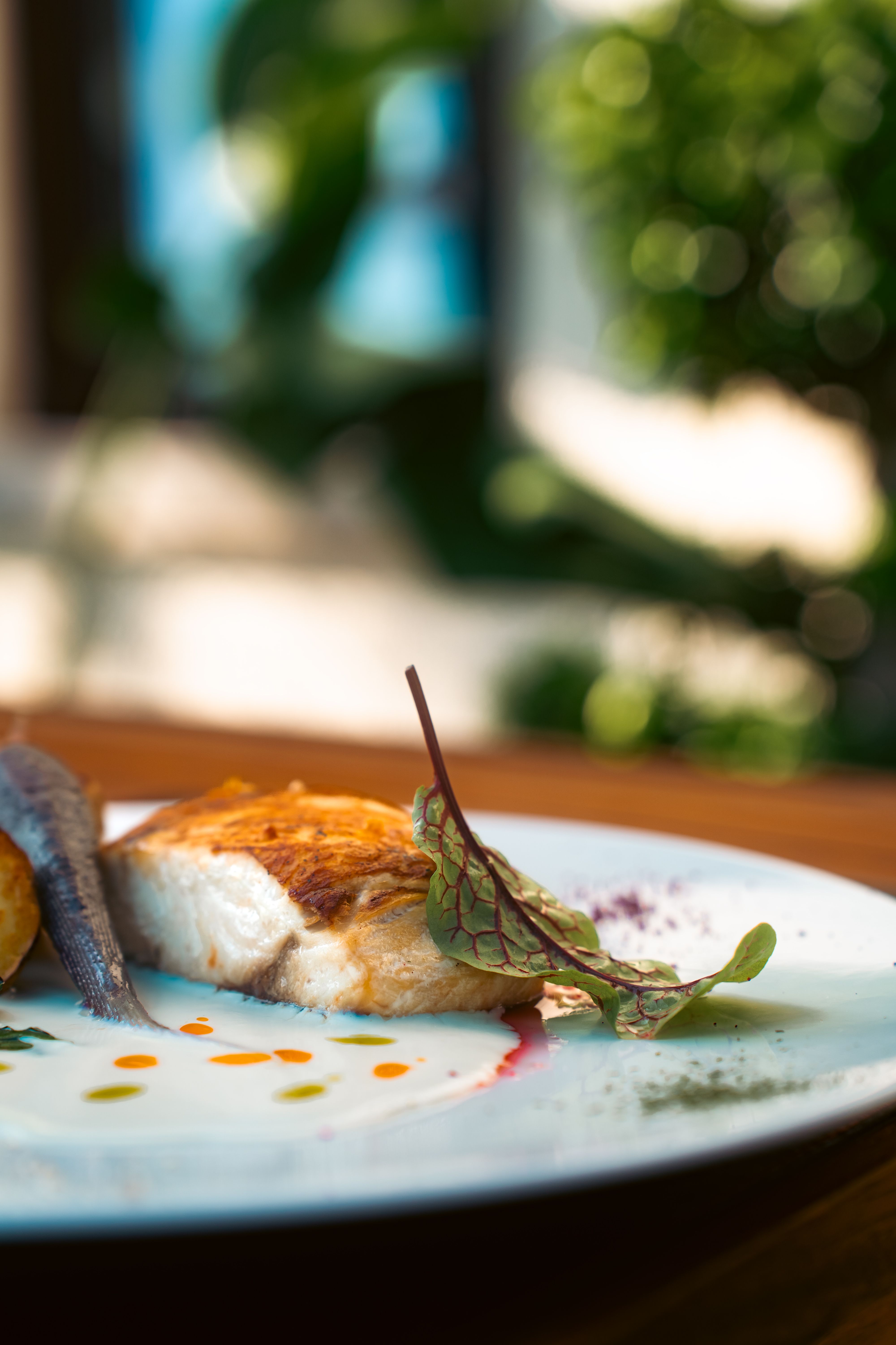 Elegant Food Presentation at Outdoor Restaurant · Free Stock Photo