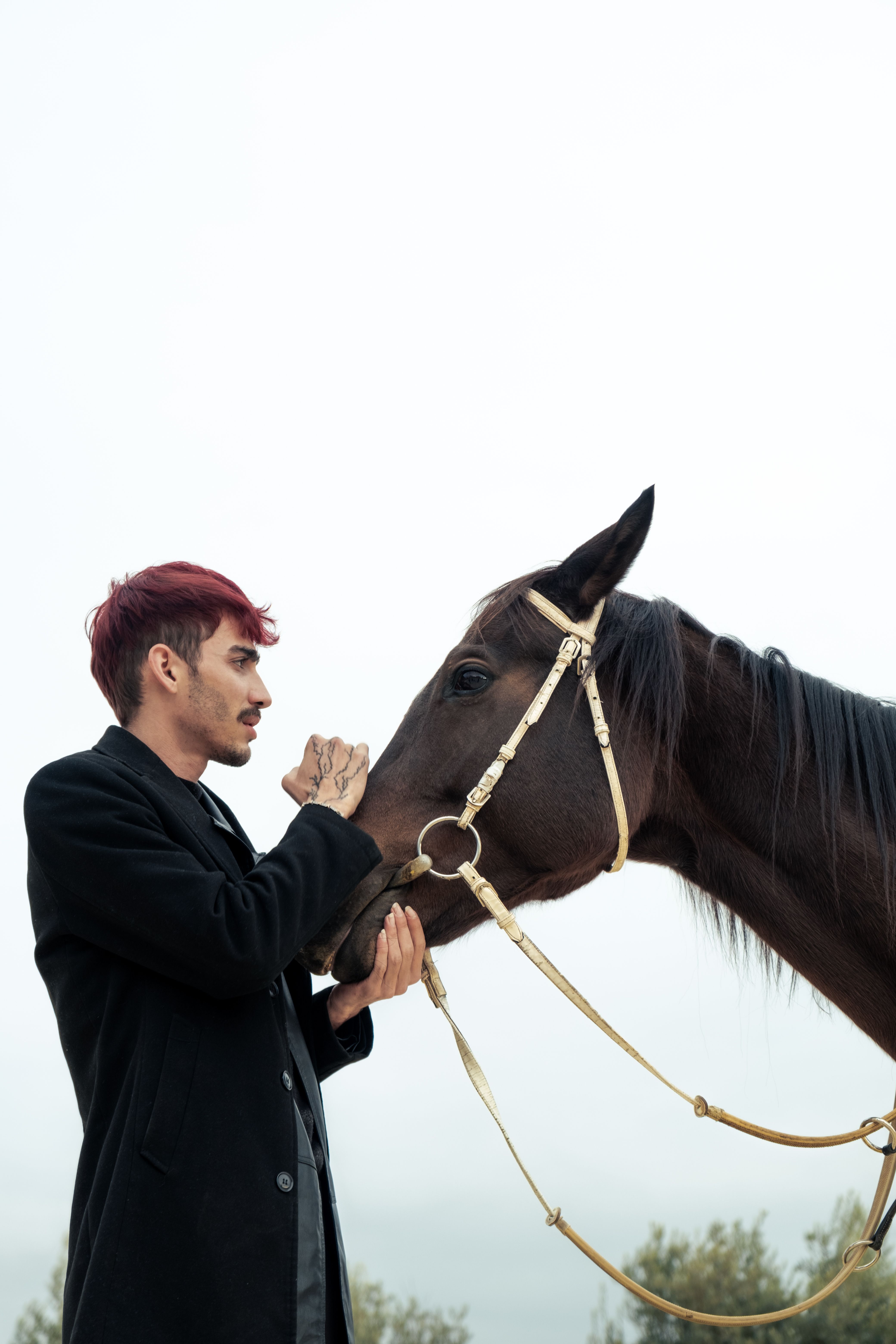 Man interacting with horse in Adana, Türkiye · Free Stock Photo
