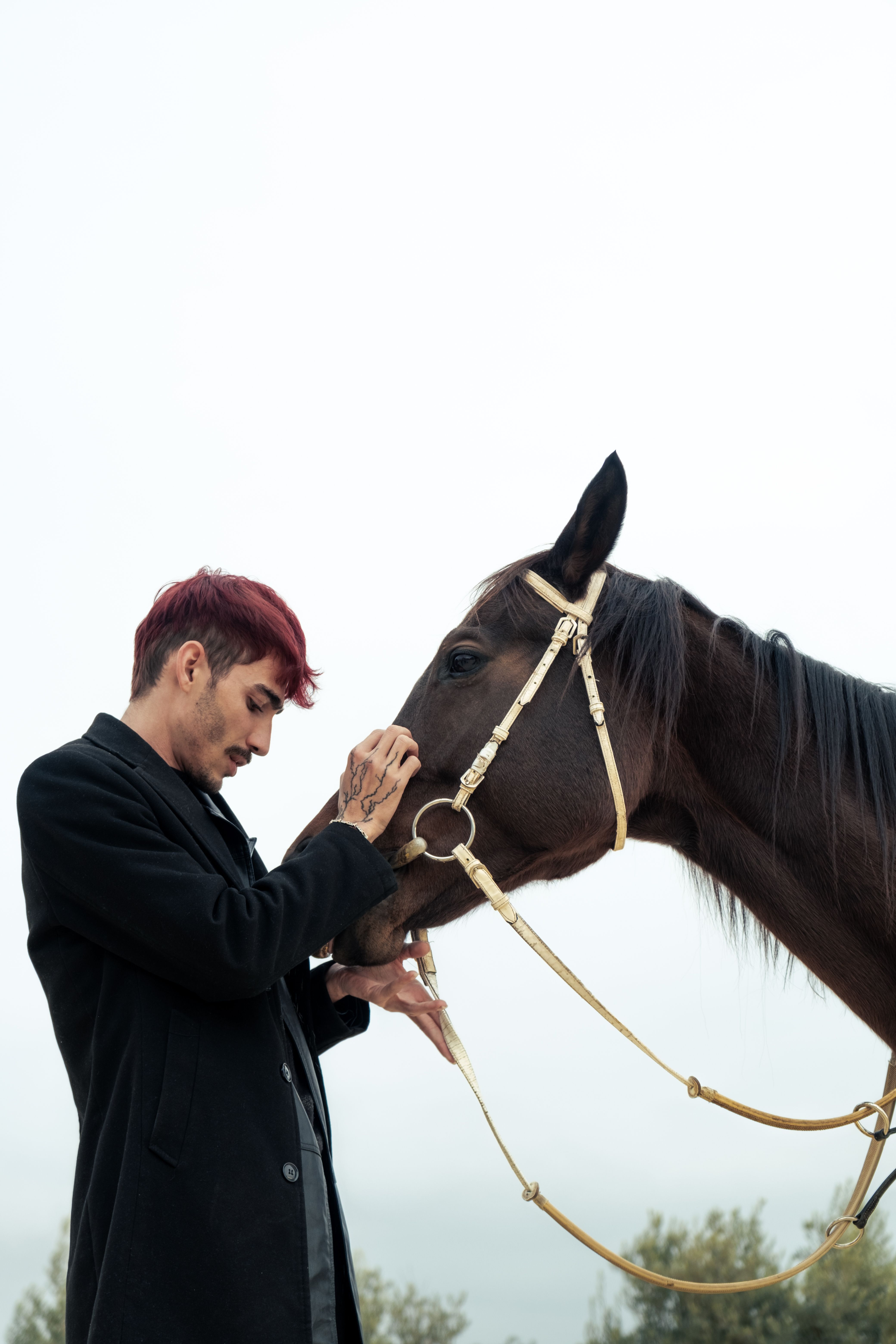 Young Man Interacting with Horse Outdoors · Free Stock Photo