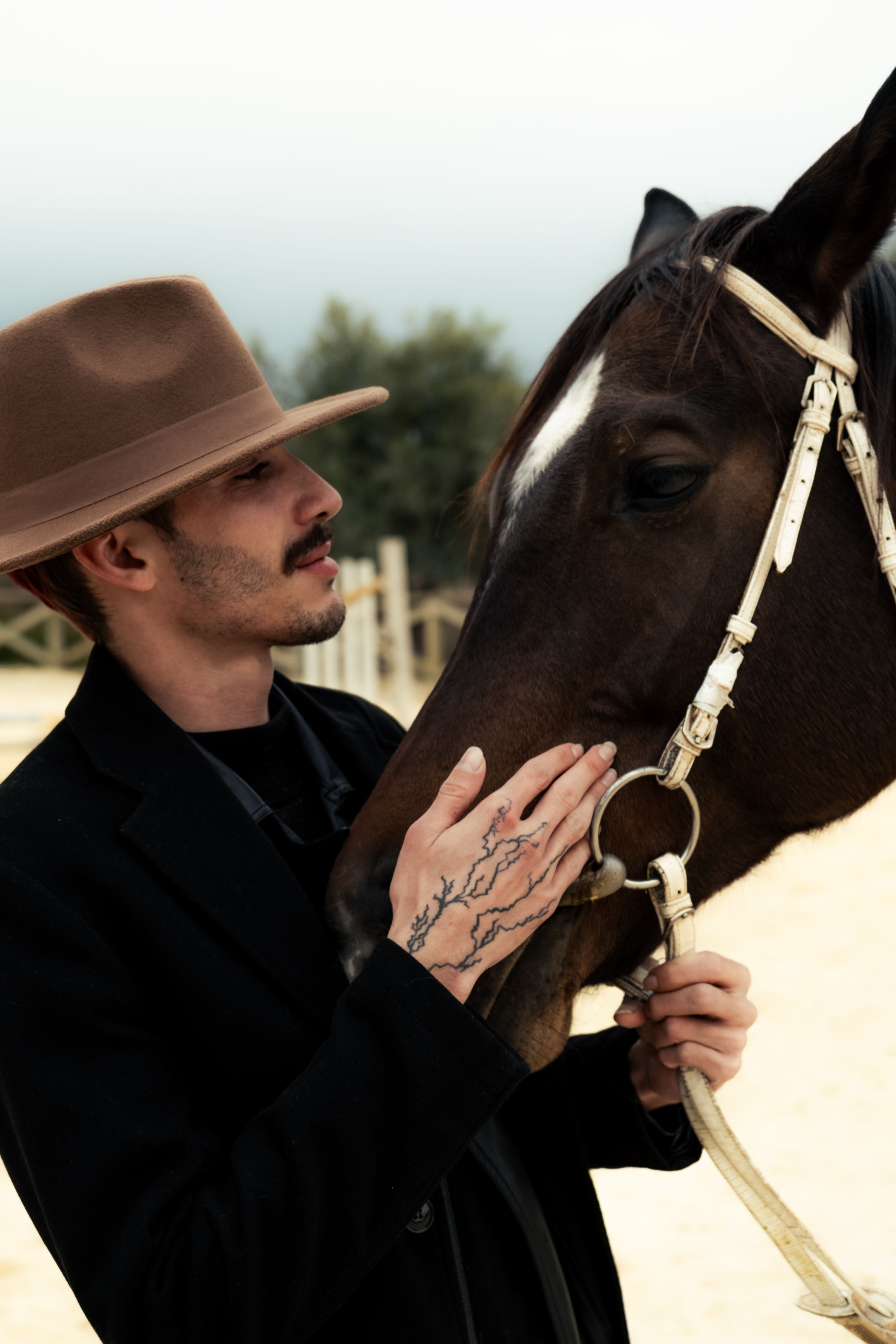 Man Gently Interacting with Horse Outdoors · Free Stock Photo
