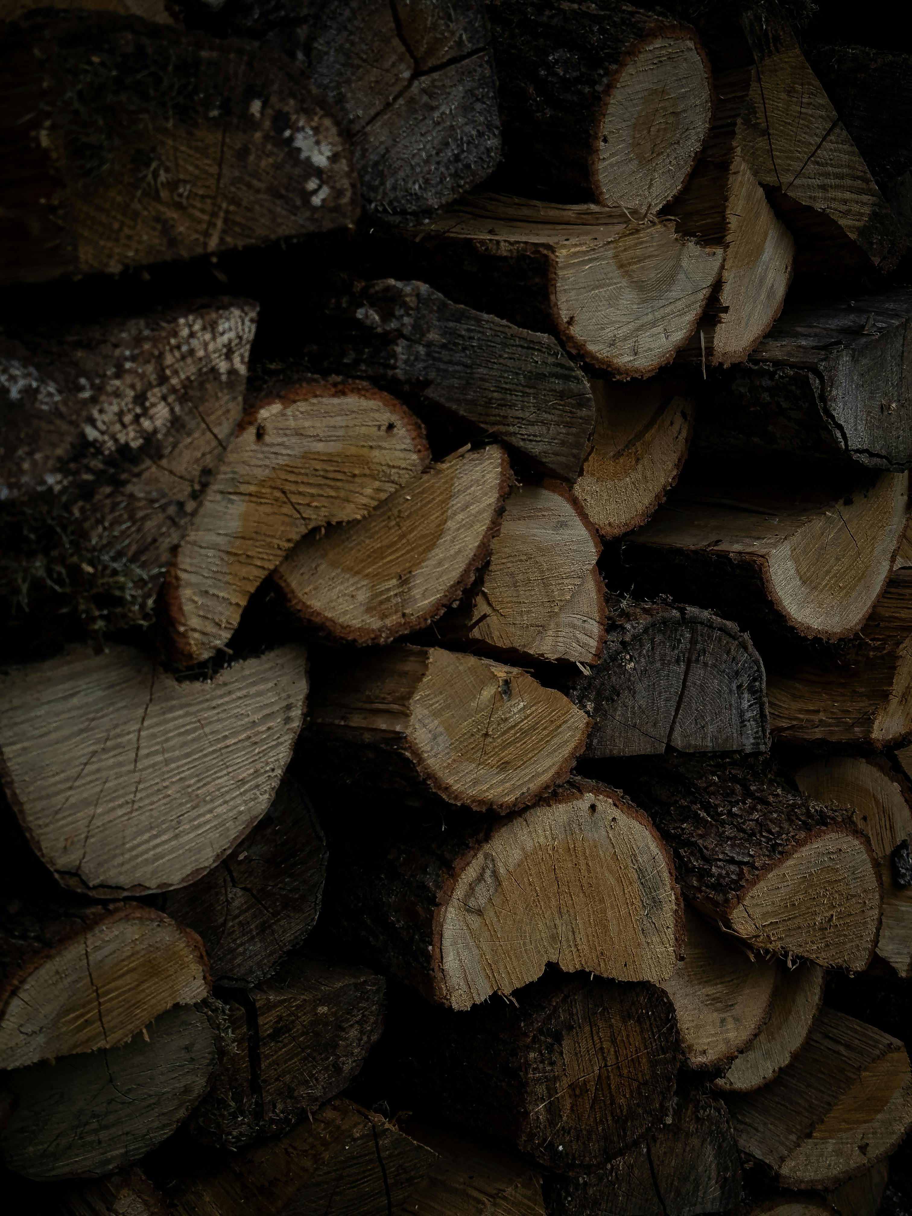 Rustic Firewood Stack Texture in Shadow · Free Stock Photo