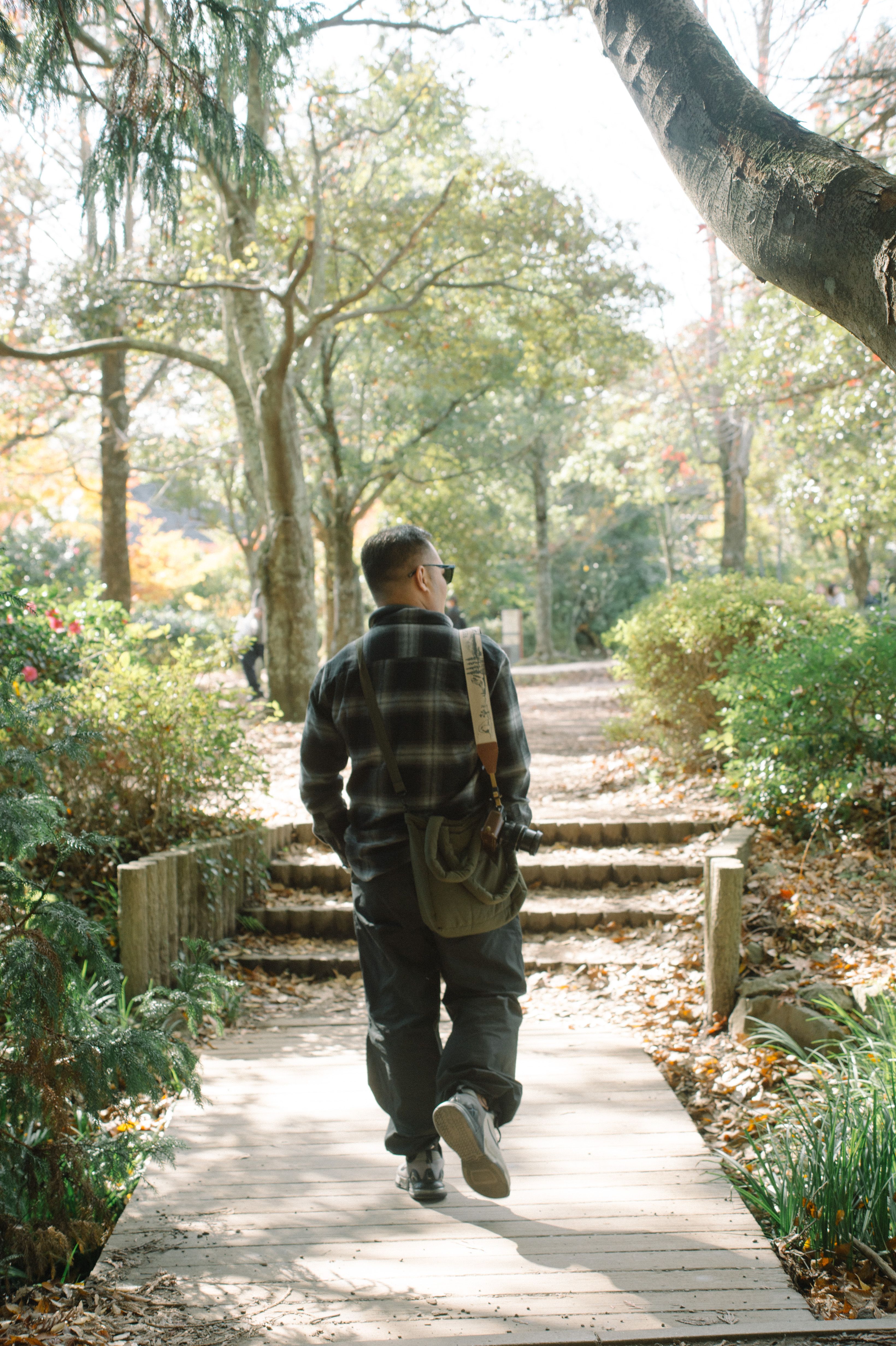Man Walking Through Serene Japanese Park Pathway · Free Stock Photo