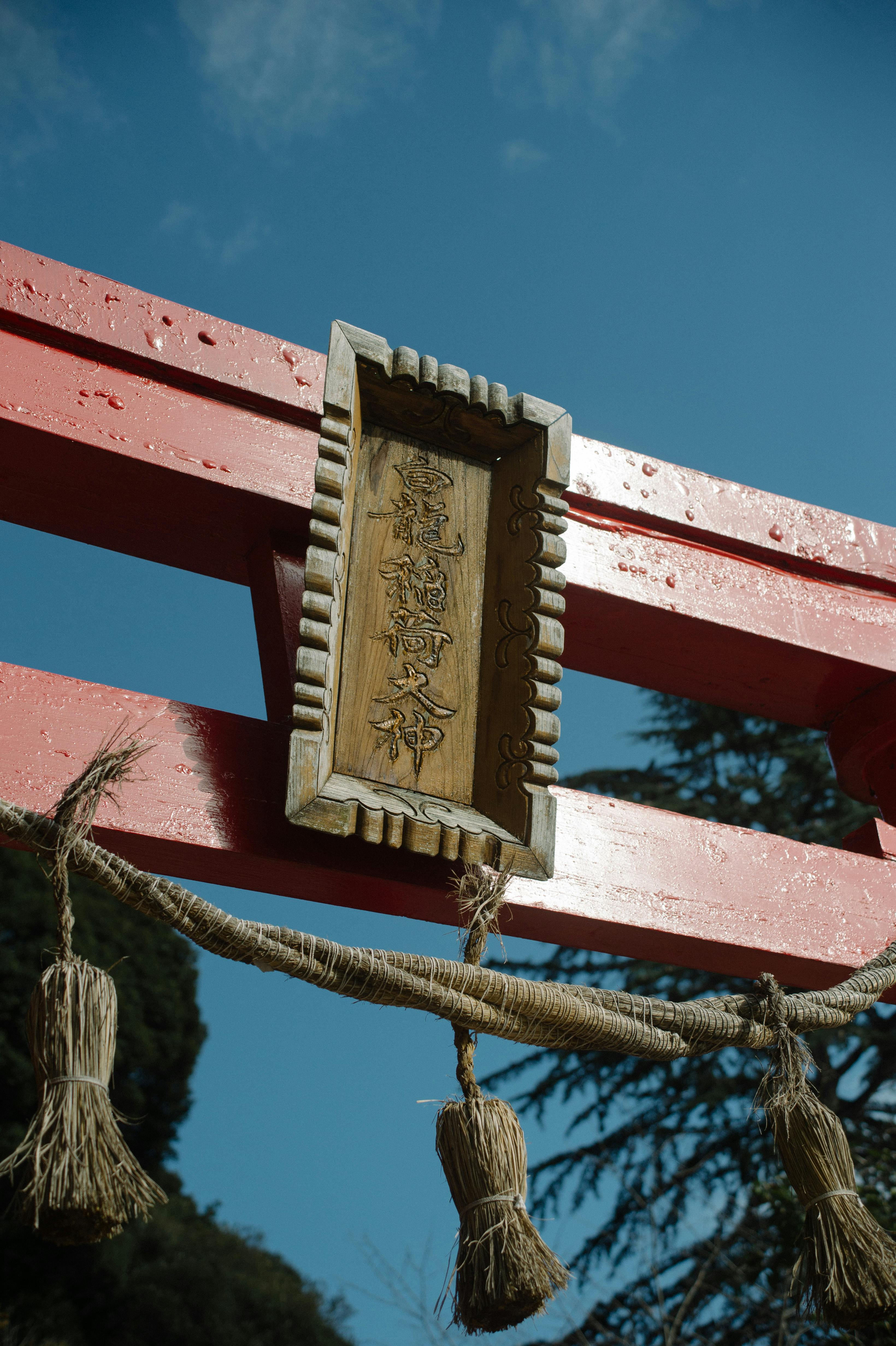 Traditional Japanese Torii Gate with Sacred Rope · Free Stock Photo
