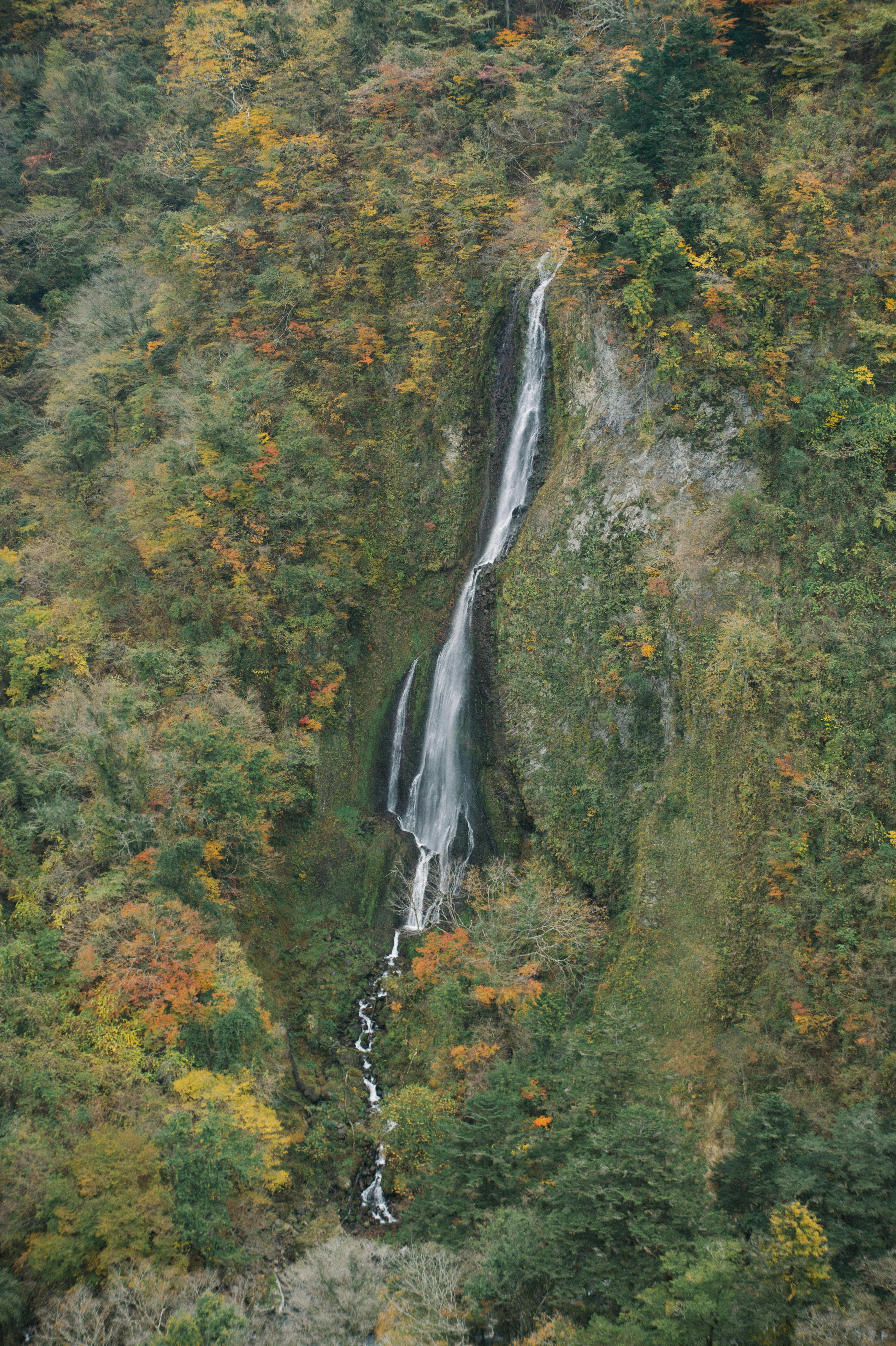 Ecological Tour Photos, Download The BEST Free Ecological Tour Stock ...