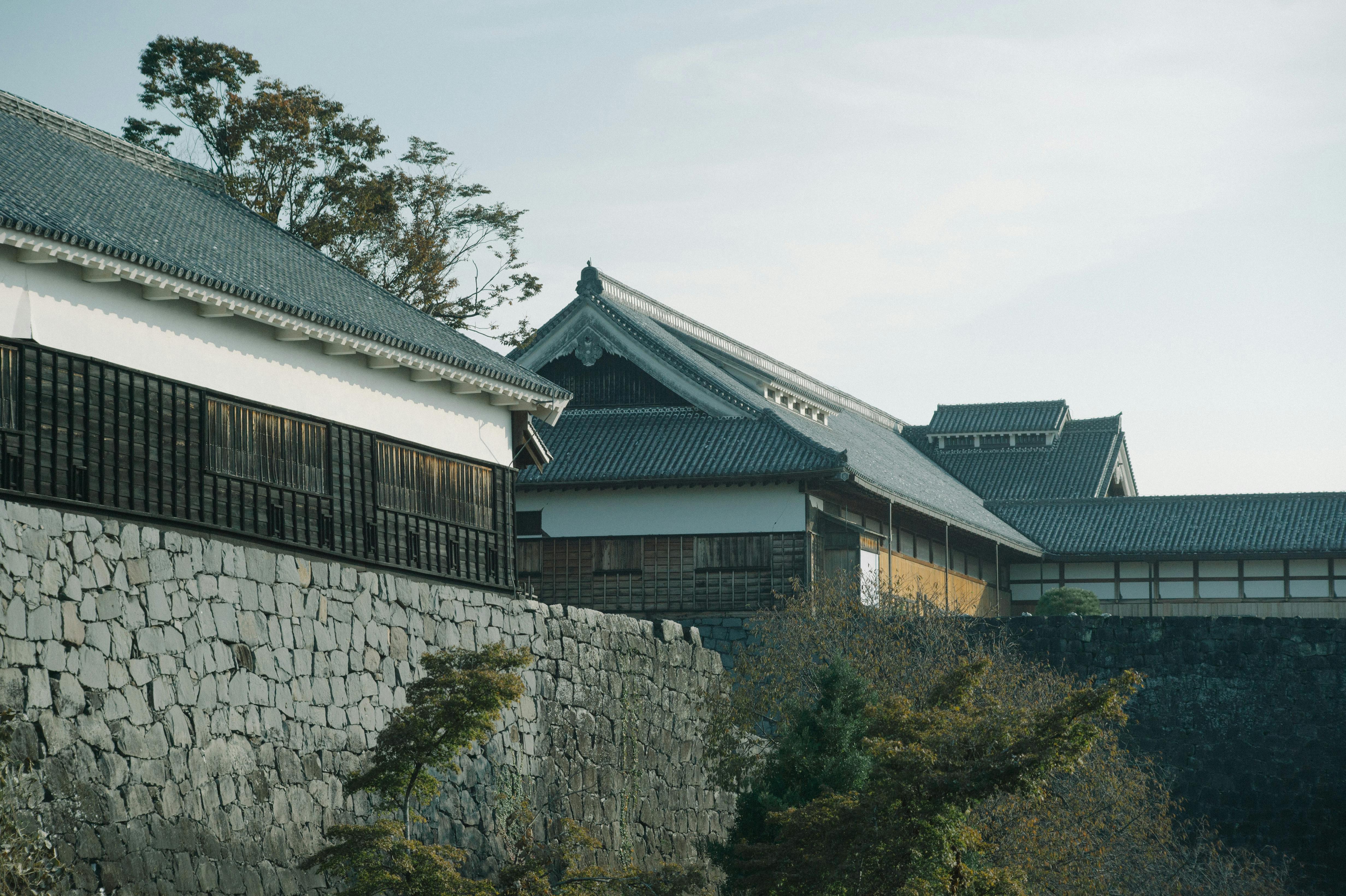 Historic Japanese Castle Wall and Traditional Roofs · Free Stock Photo