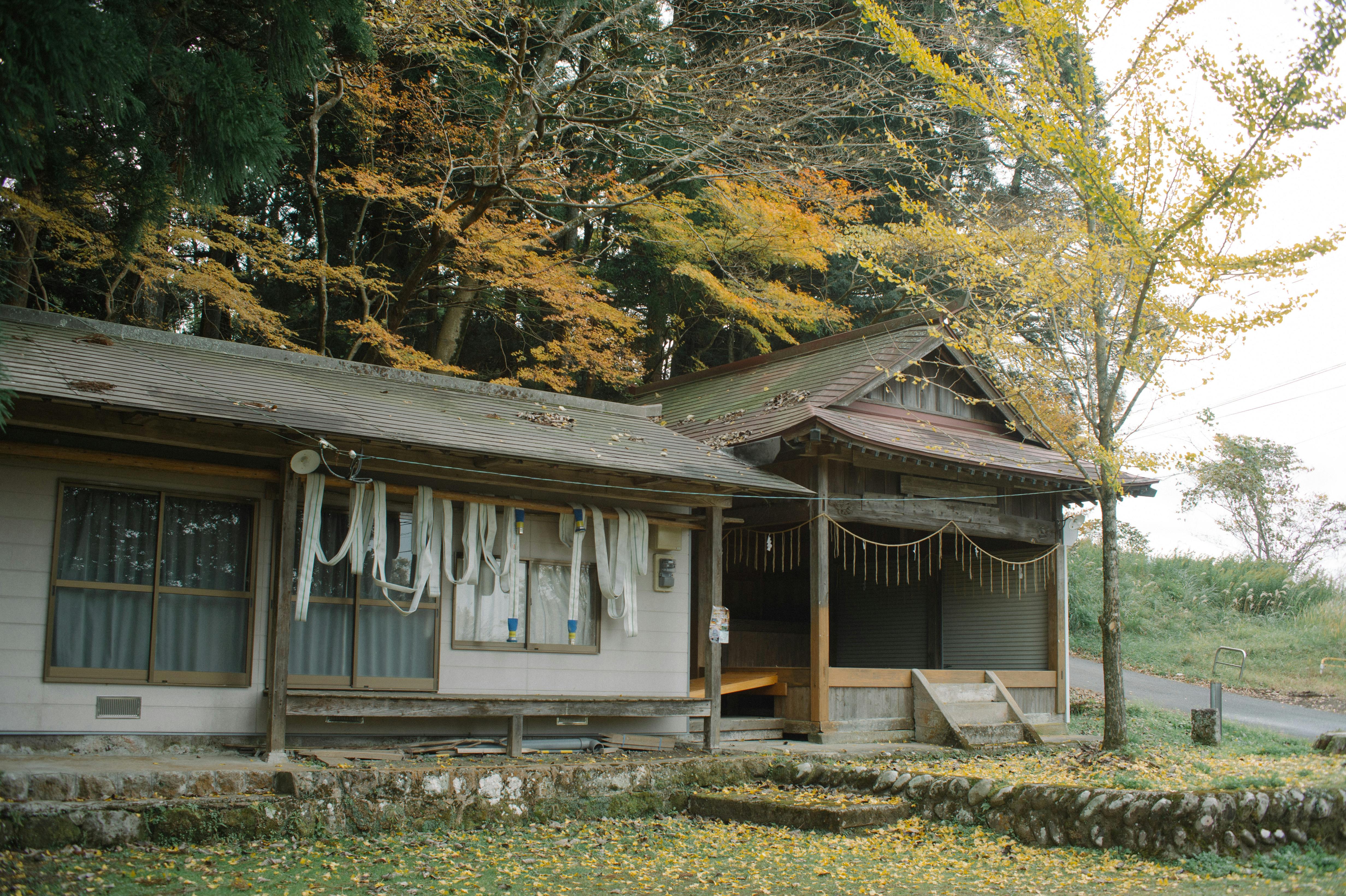 Charming Traditional Japanese Rural House in Autumn · Free Stock Photo