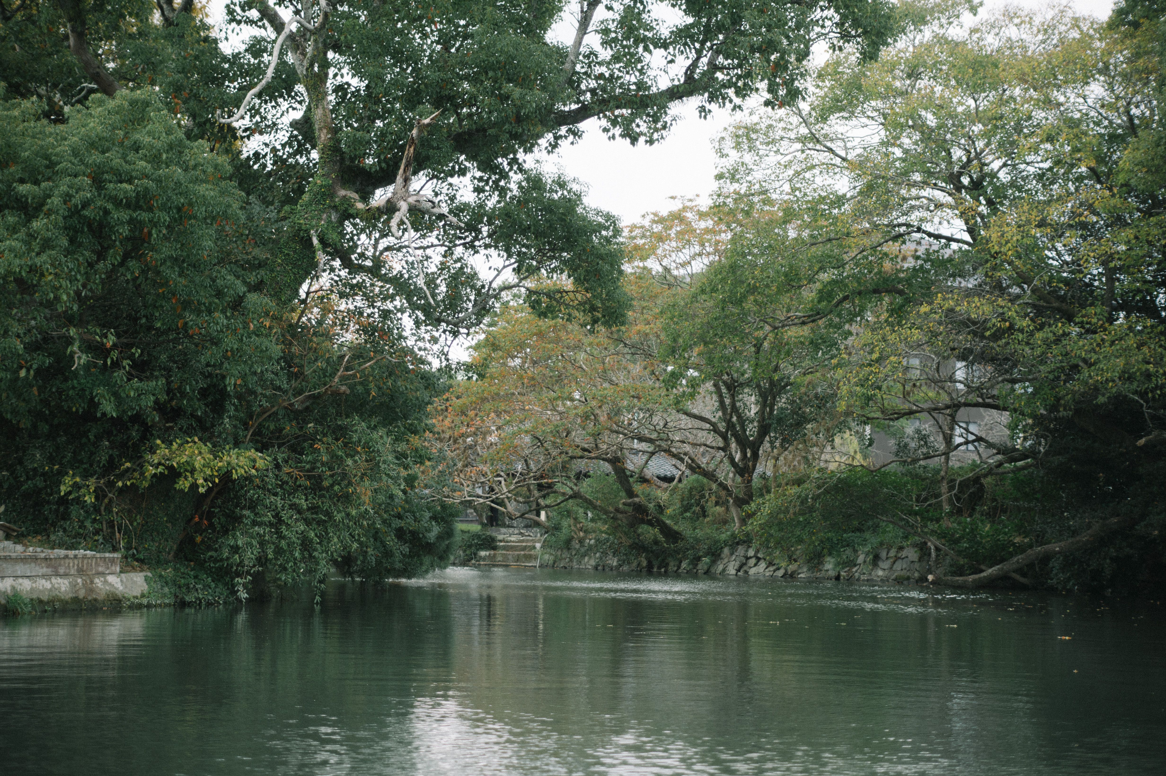 Peaceful River Scene in Japanese Nature · Free Stock Photo
