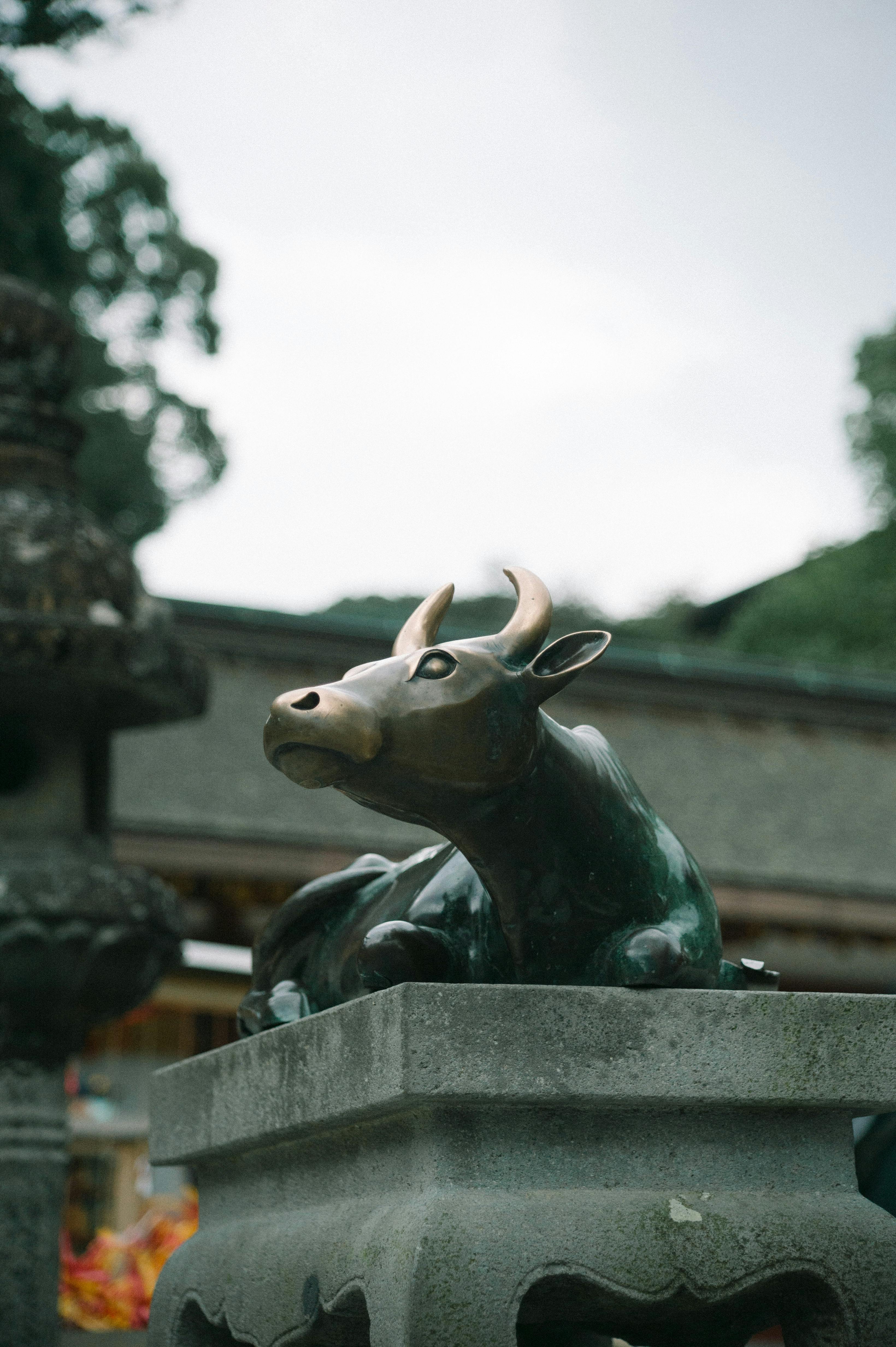Japanese Shrine Ox Statue in Serene Setting · Free Stock Photo