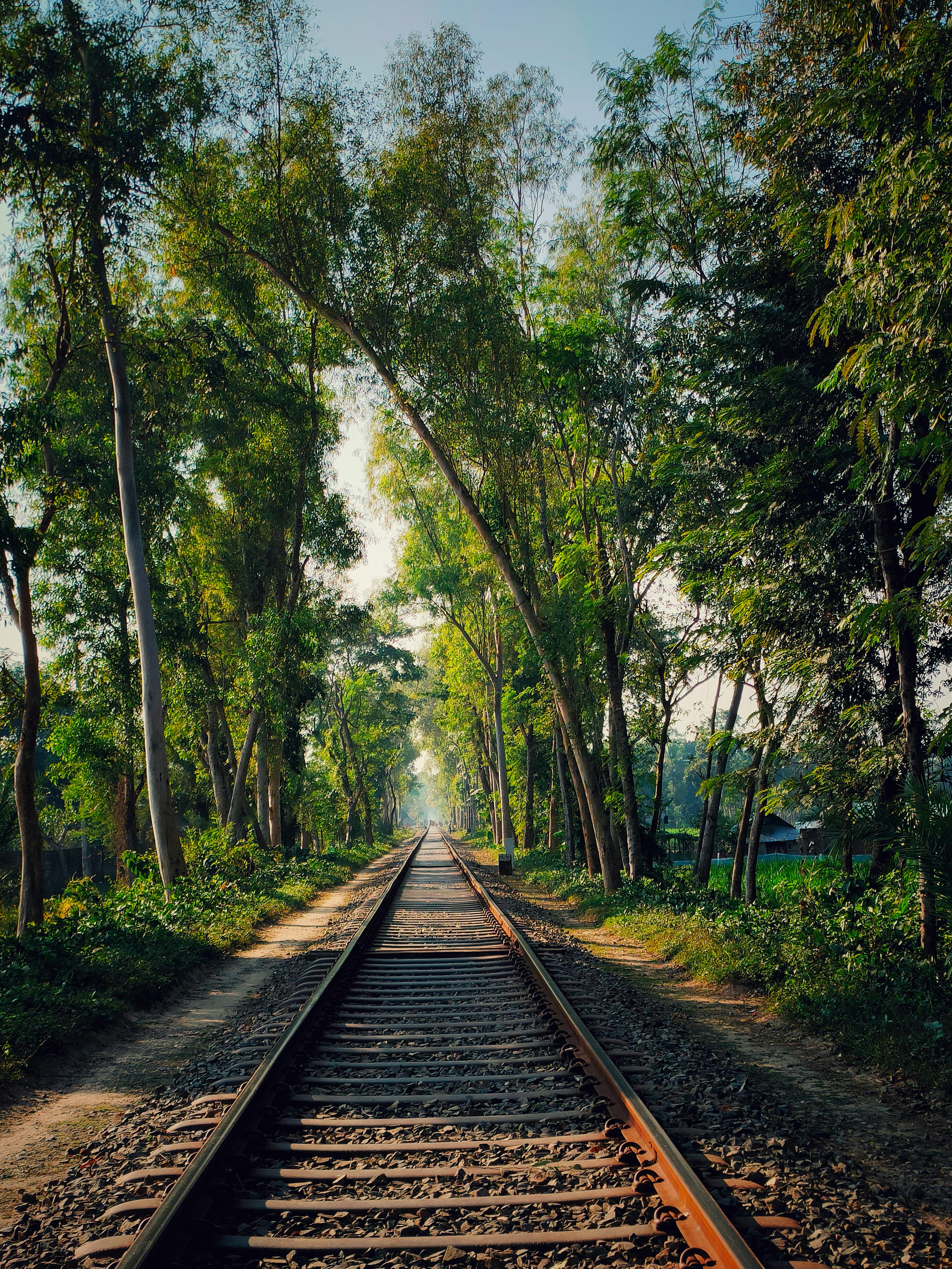 Serene Tree-Lined Railway Track Landscape · Free Stock Photo