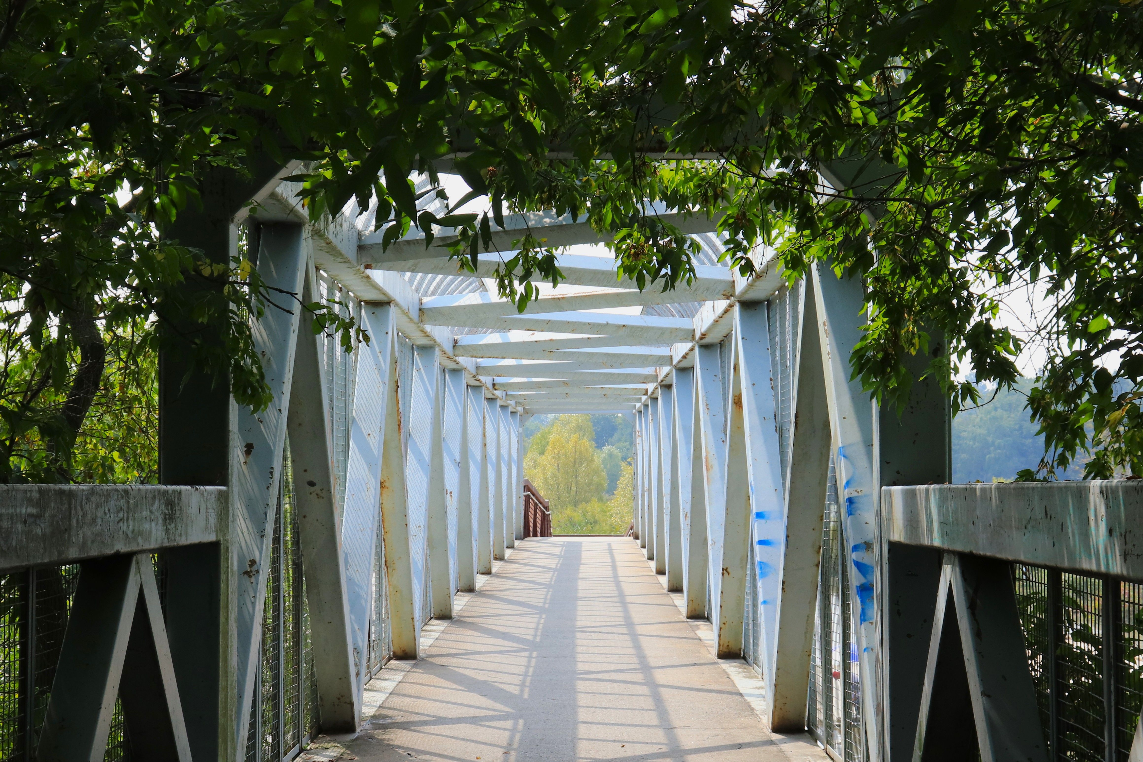Peaceful Walkway on Toronto Bridge · Free Stock Photo