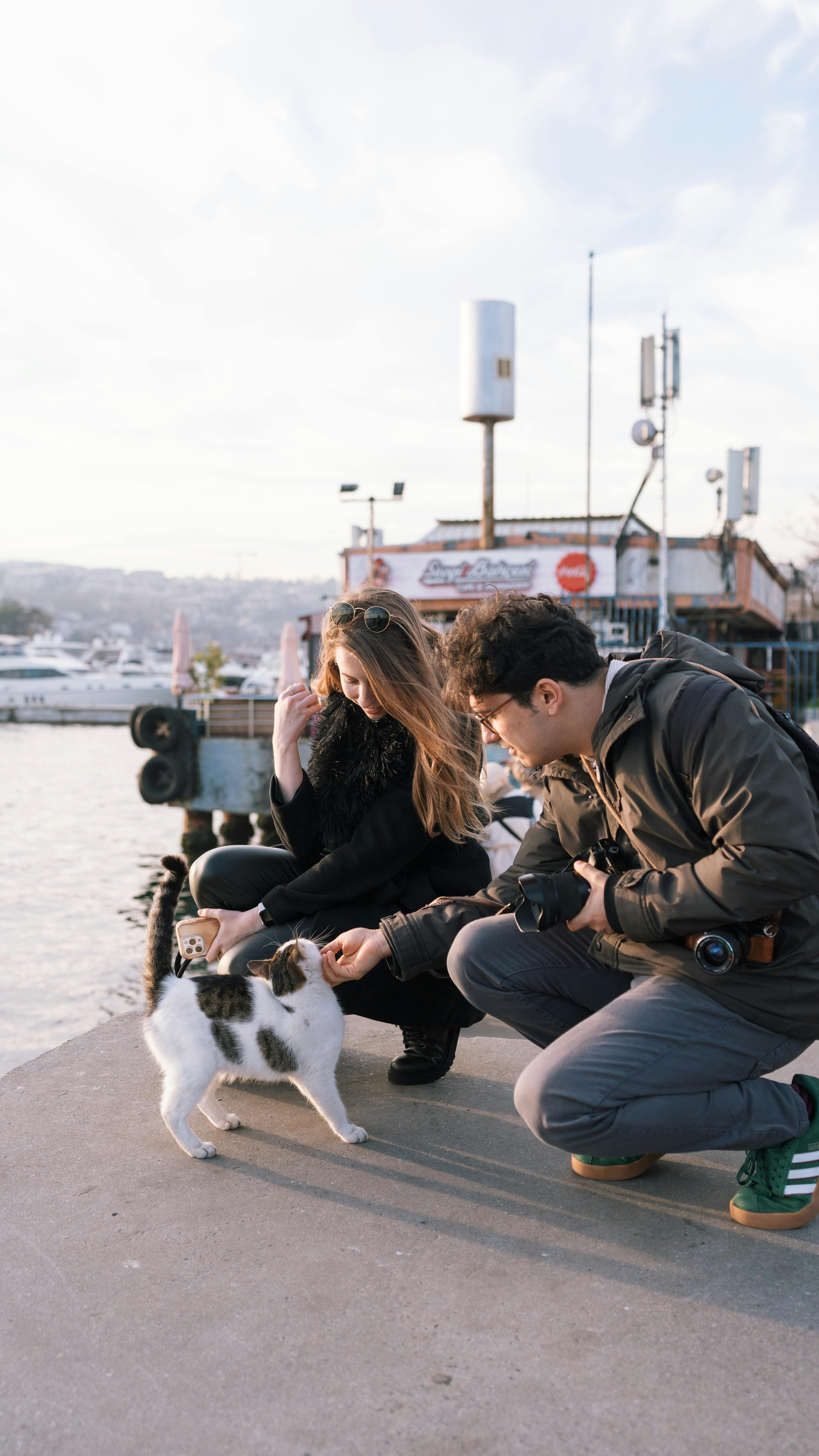 Authentic Animals Photos, Download The BEST Free Authentic Animals ...