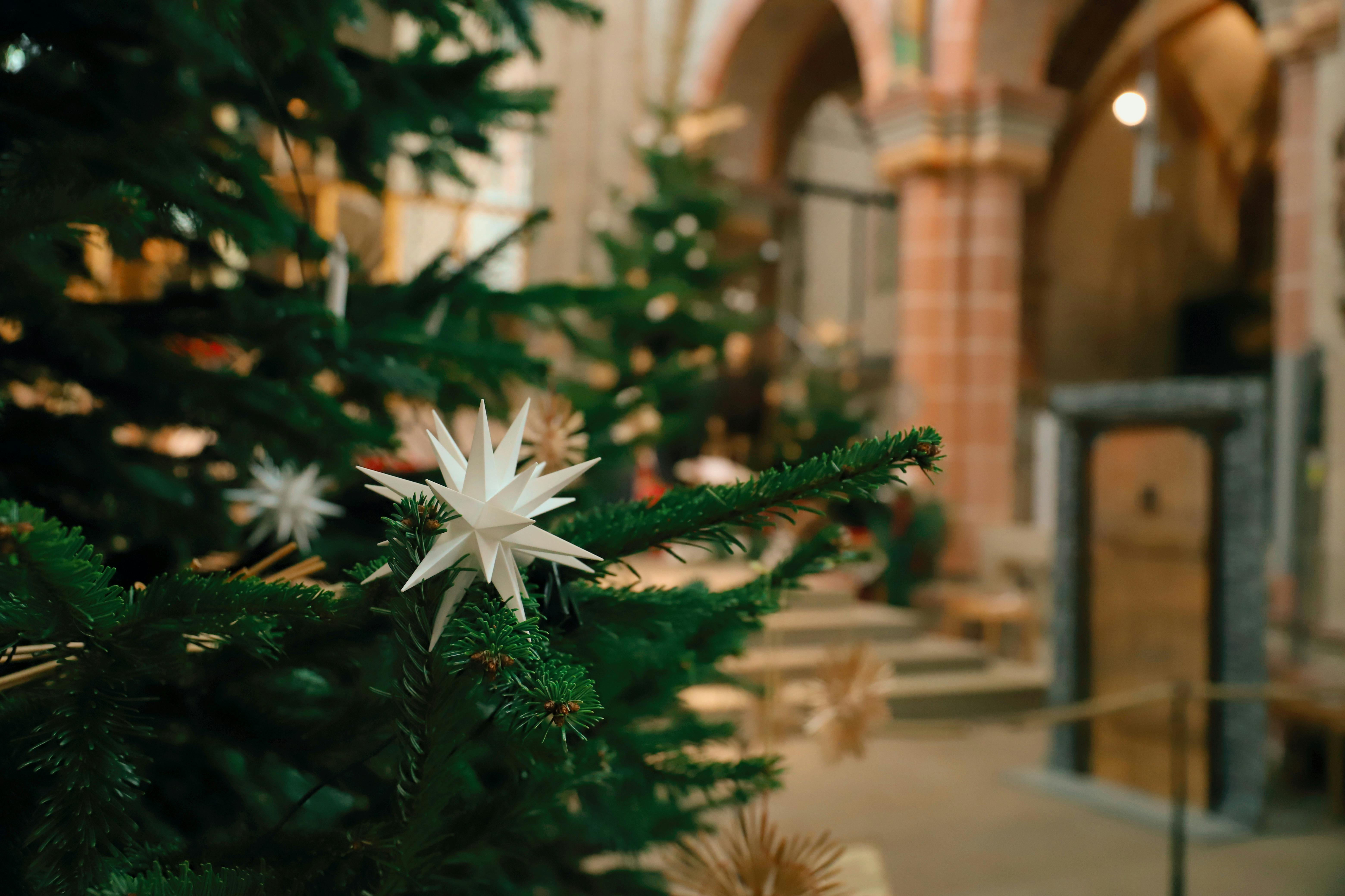 Festive Christmas Tree in a Historic Church · Free Stock Photo