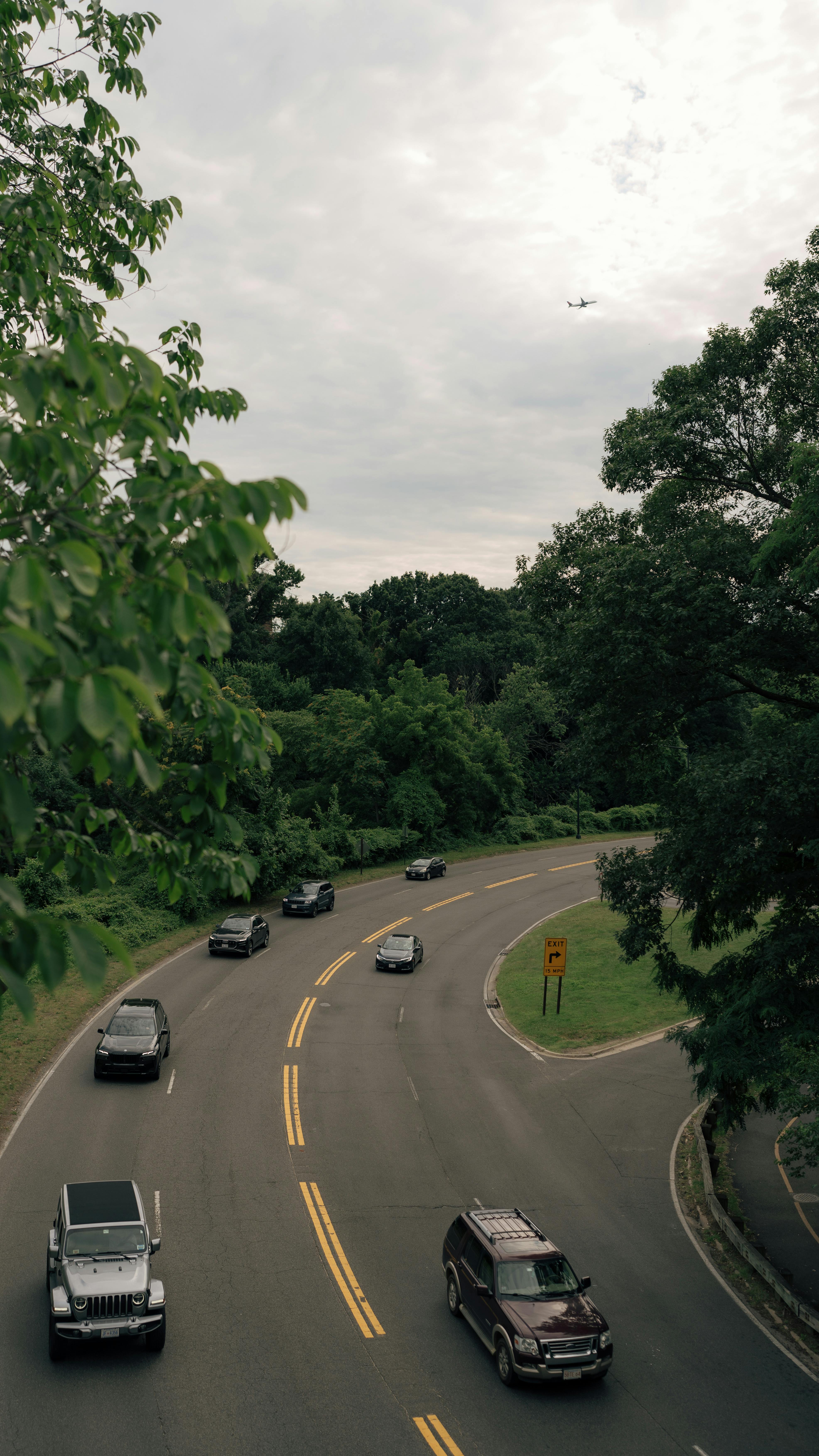 Curved Road with Cars in Lush Green Surrounding · Free Stock Photo