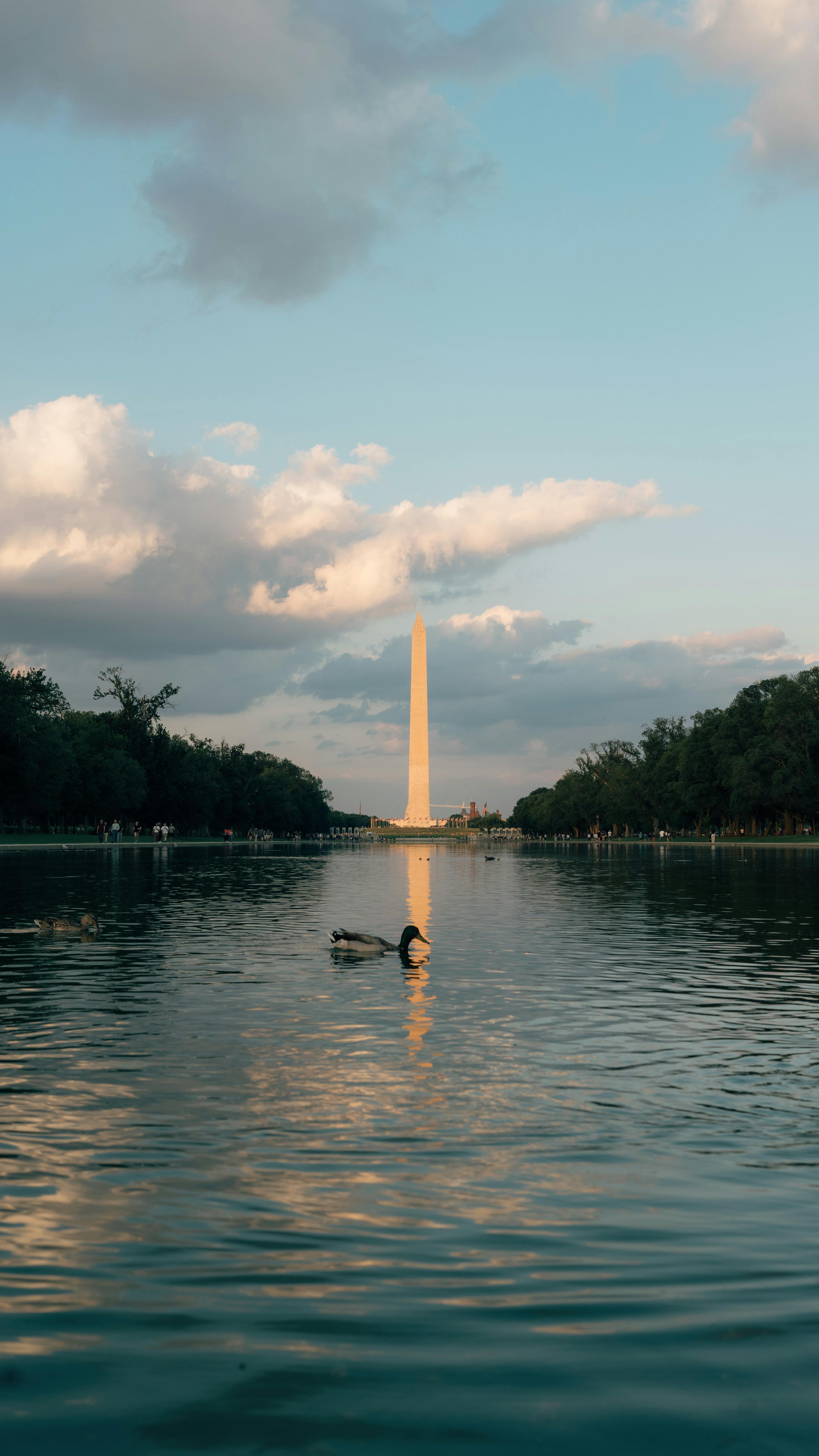 Iconic Reflection Photos, Download The BEST Free Iconic Reflection ...