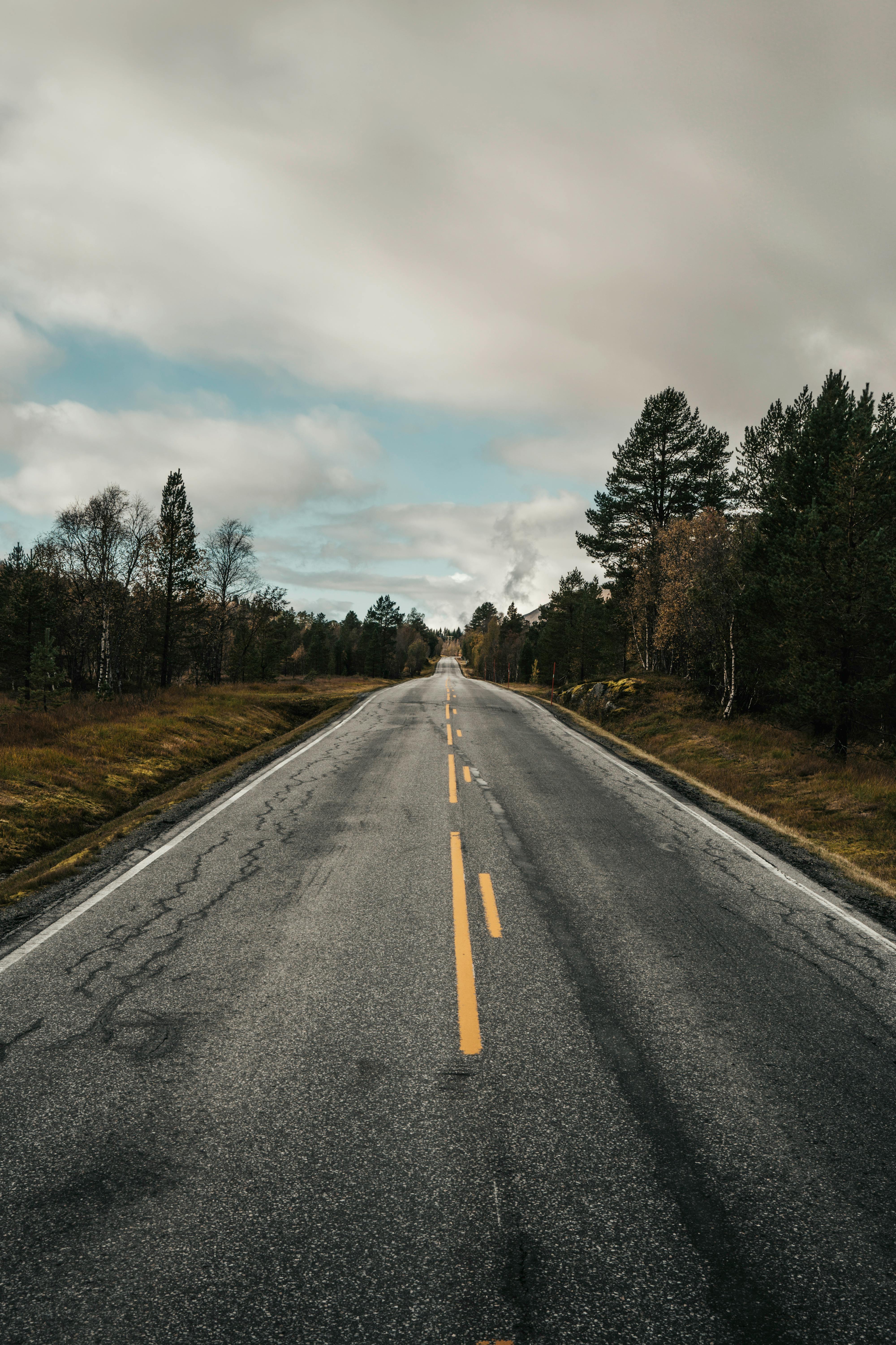 Straight On Photos, Download The BEST Free Straight On Stock Photos ...