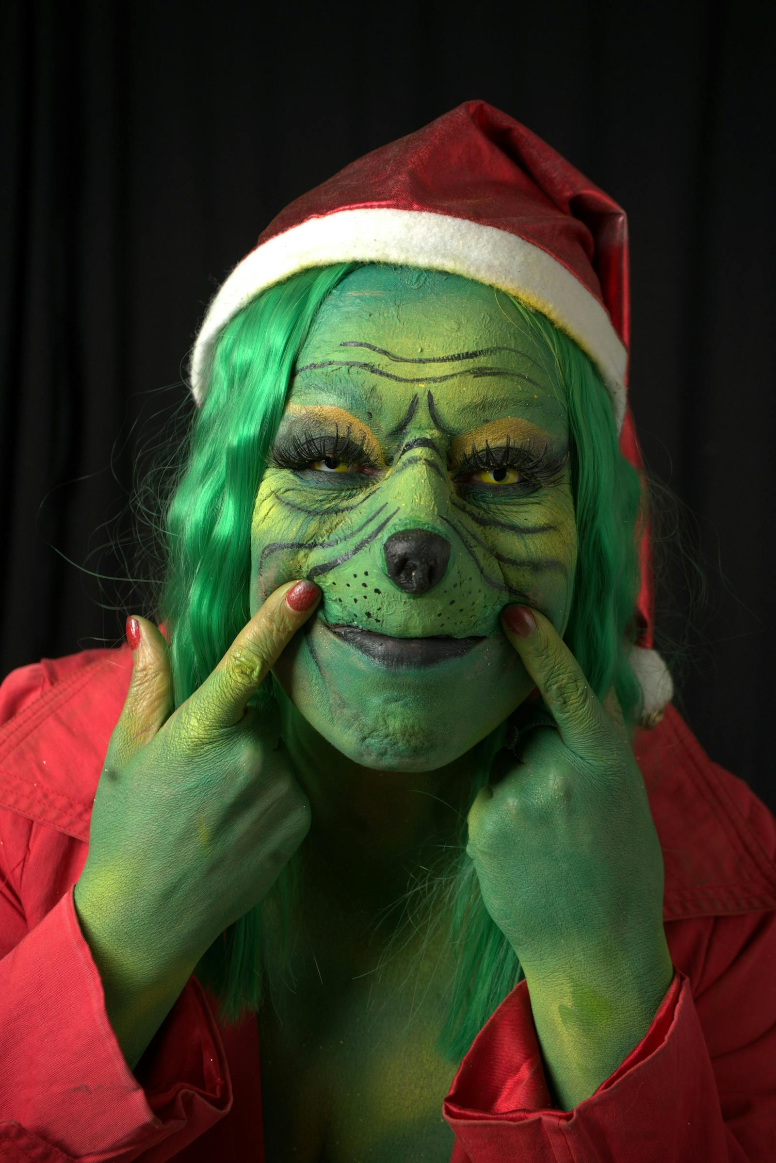 Preppy Grinch Photos, Download The BEST Free Preppy Grinch Stock Photos ...