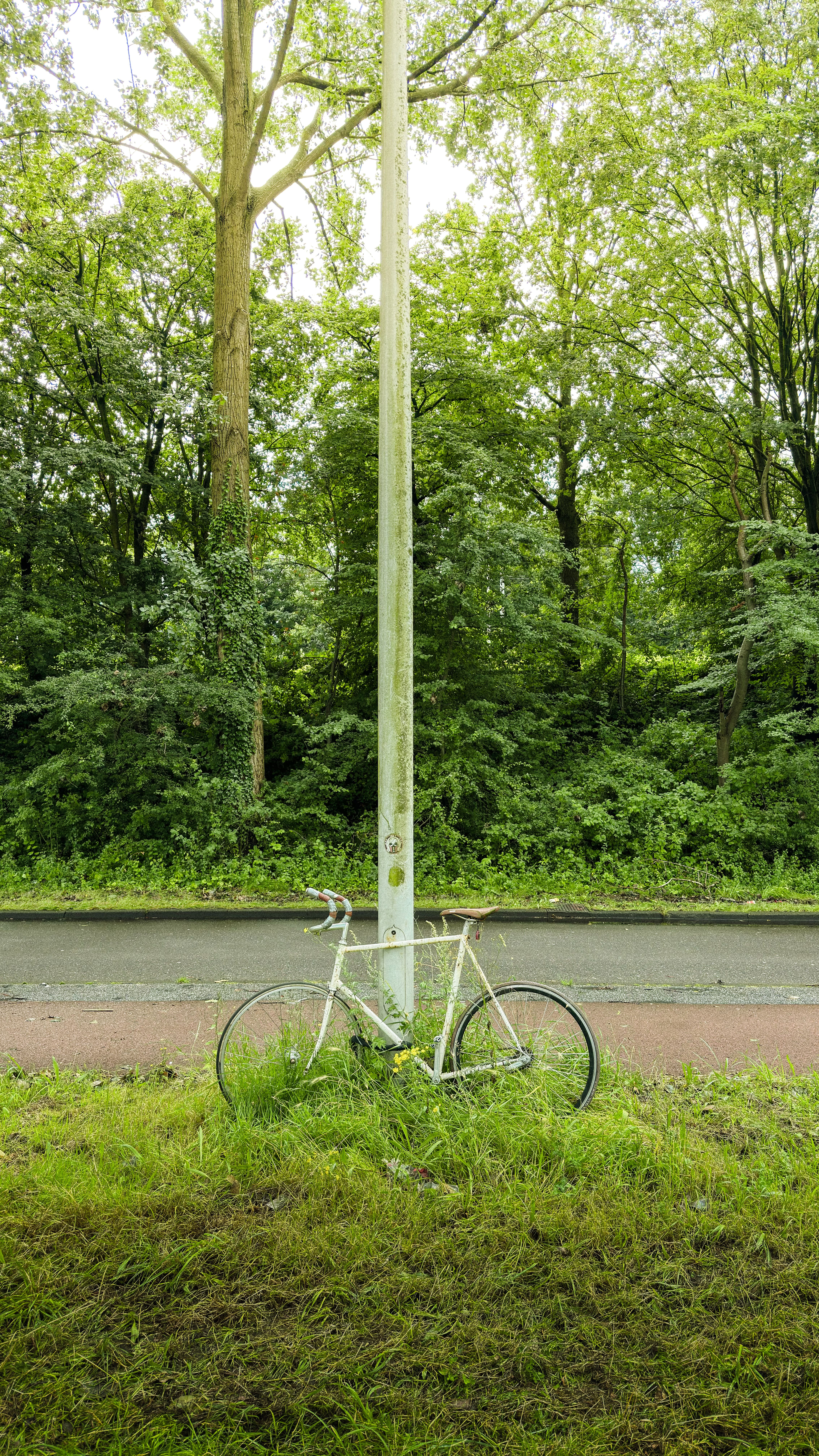 Green Bike Path Photos, Download The BEST Free Green Bike Path Stock ...