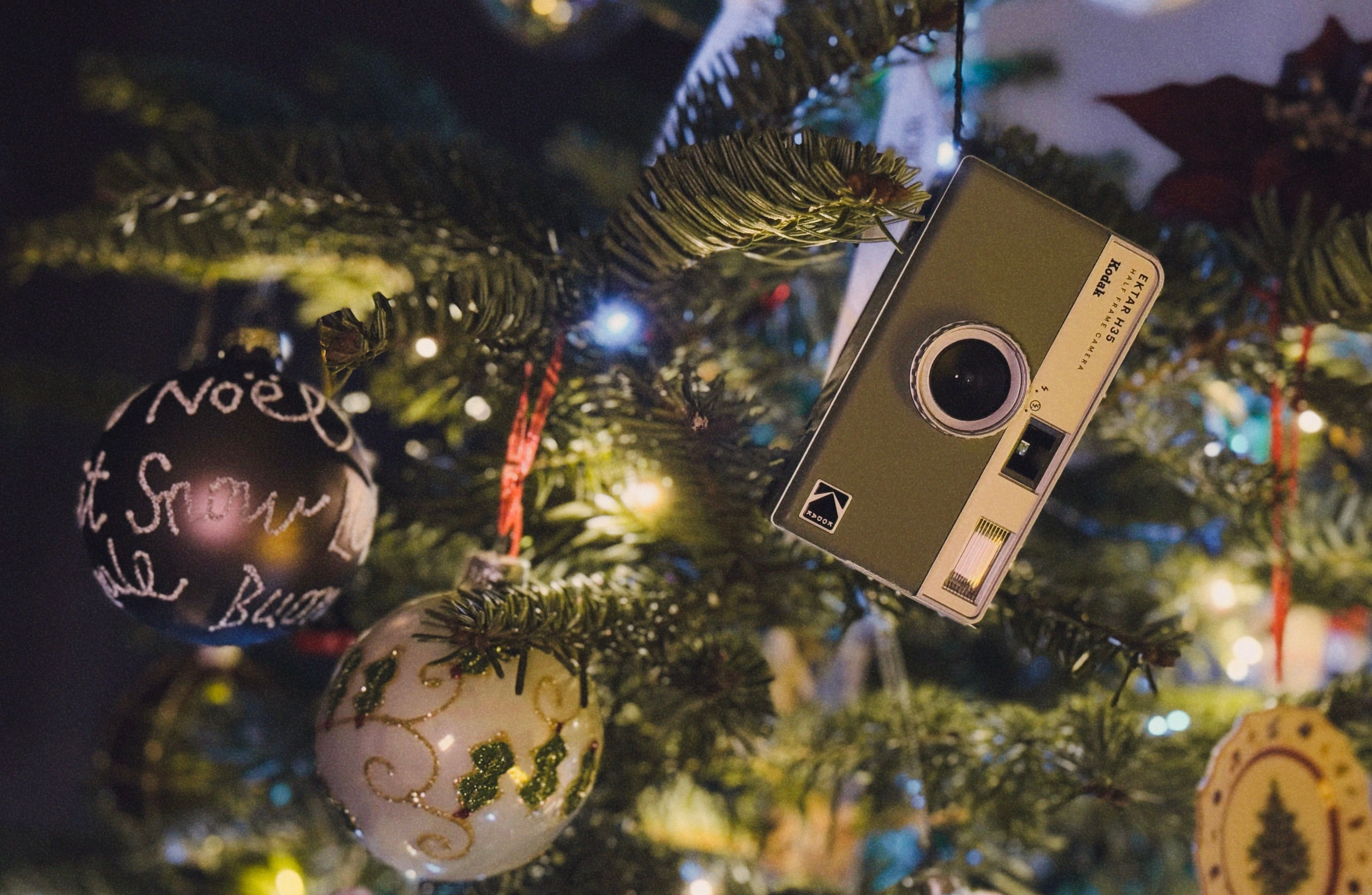Vintage Camera Ornament on Christmas Tree · Free Stock Photo