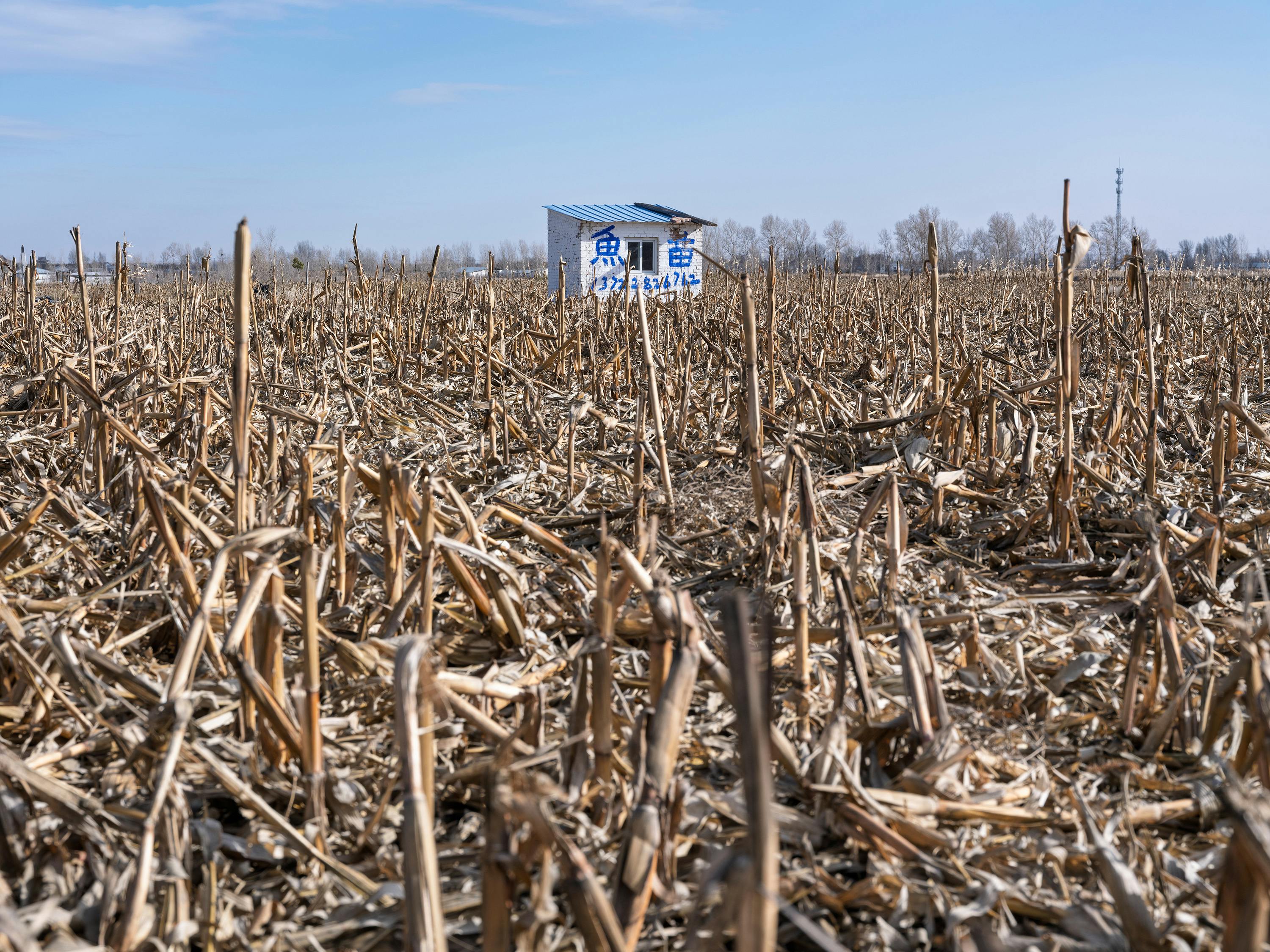 Desolate Rural Field Under Clear Sky · Free Stock Photo