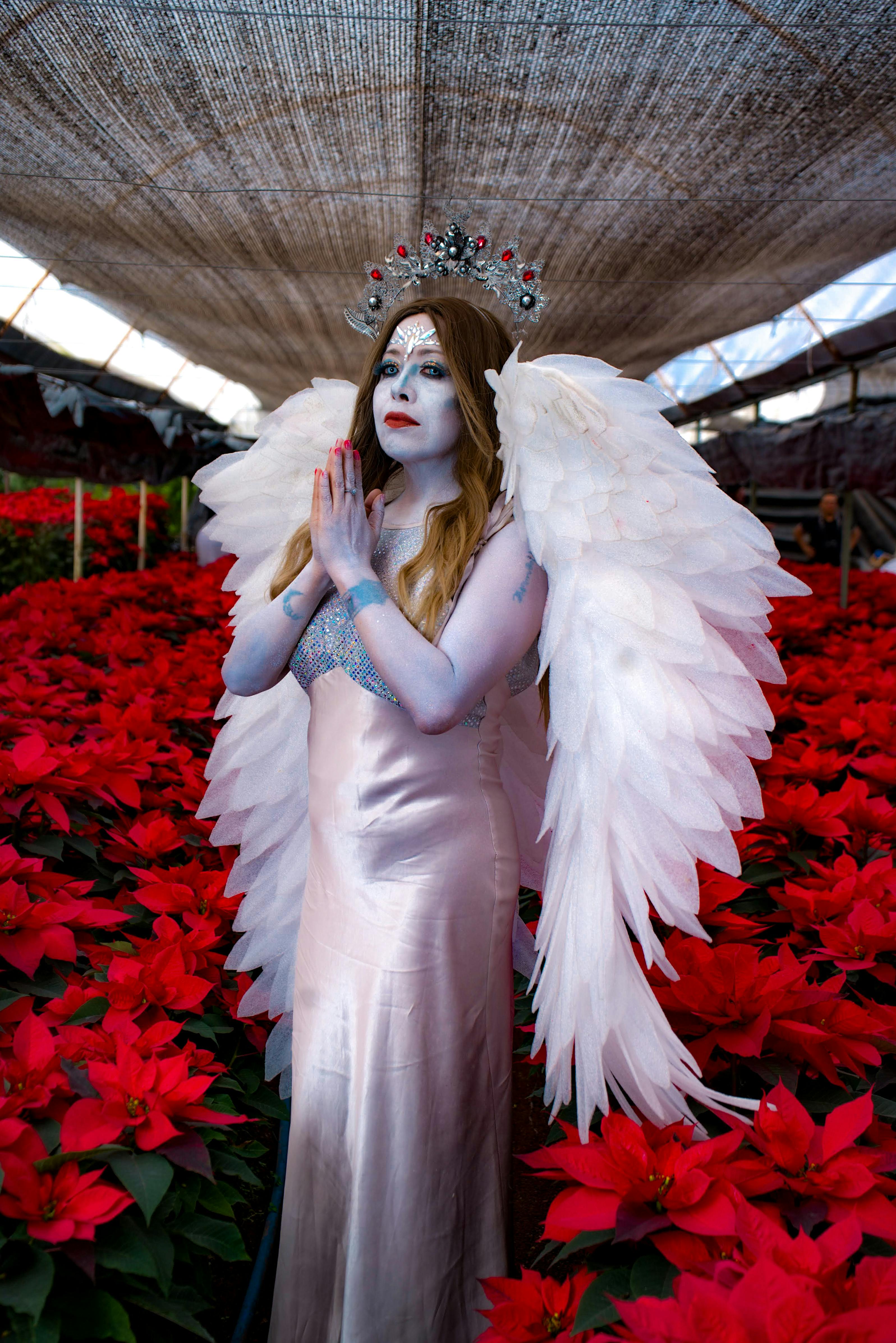 Woman in an Angel Costume · Free Stock Photo