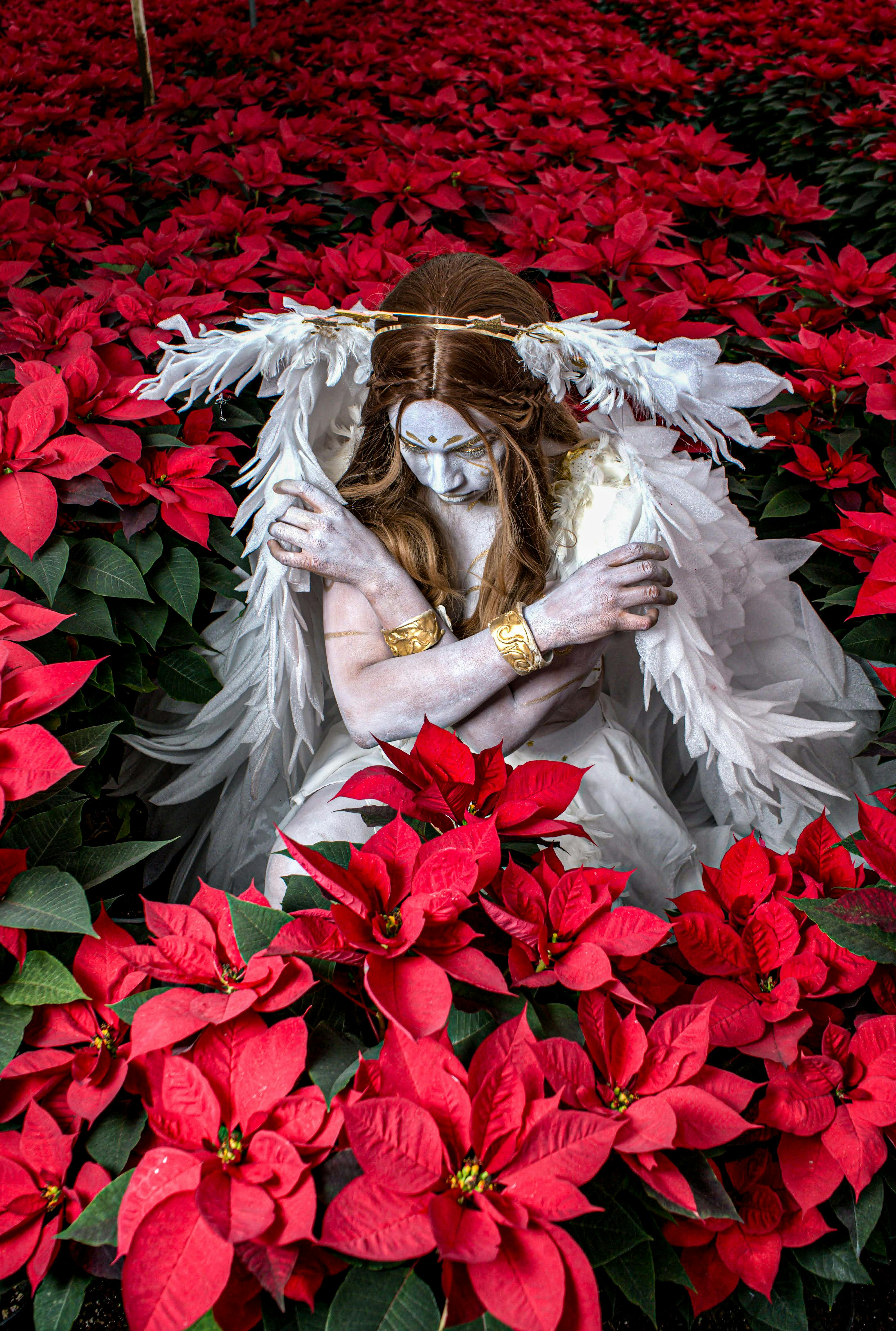 Arte Angelical Photos, Download The BEST Free Arte Angelical Stock ...