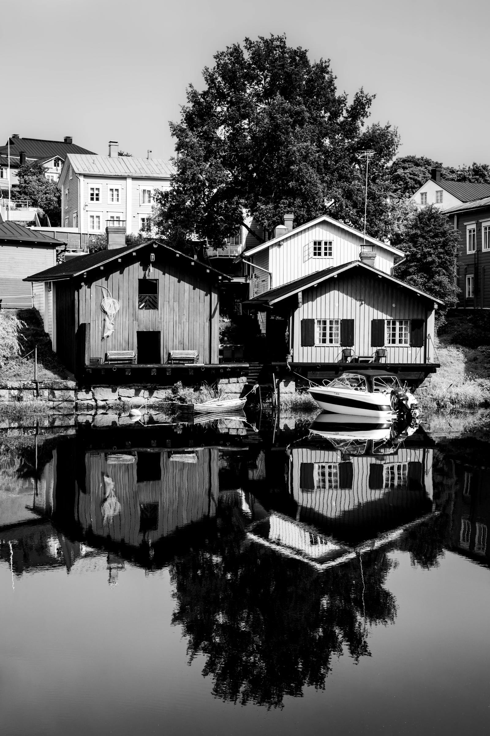 Black And White Images Of Trees Photos, Download The BEST Free Black ...