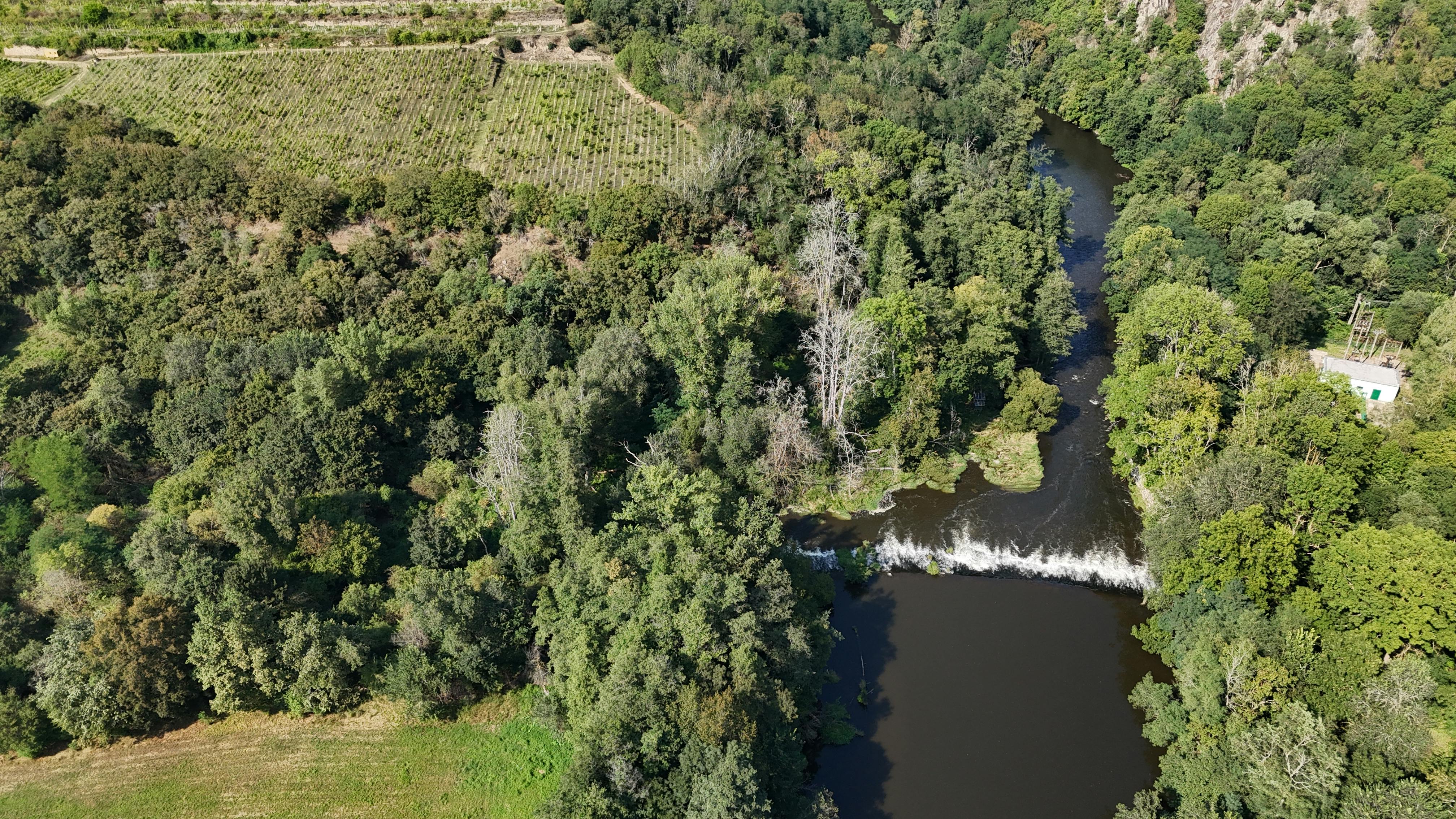 Drone Orman Görüntüleri Photos, Download The BEST Free Drone Orman ...