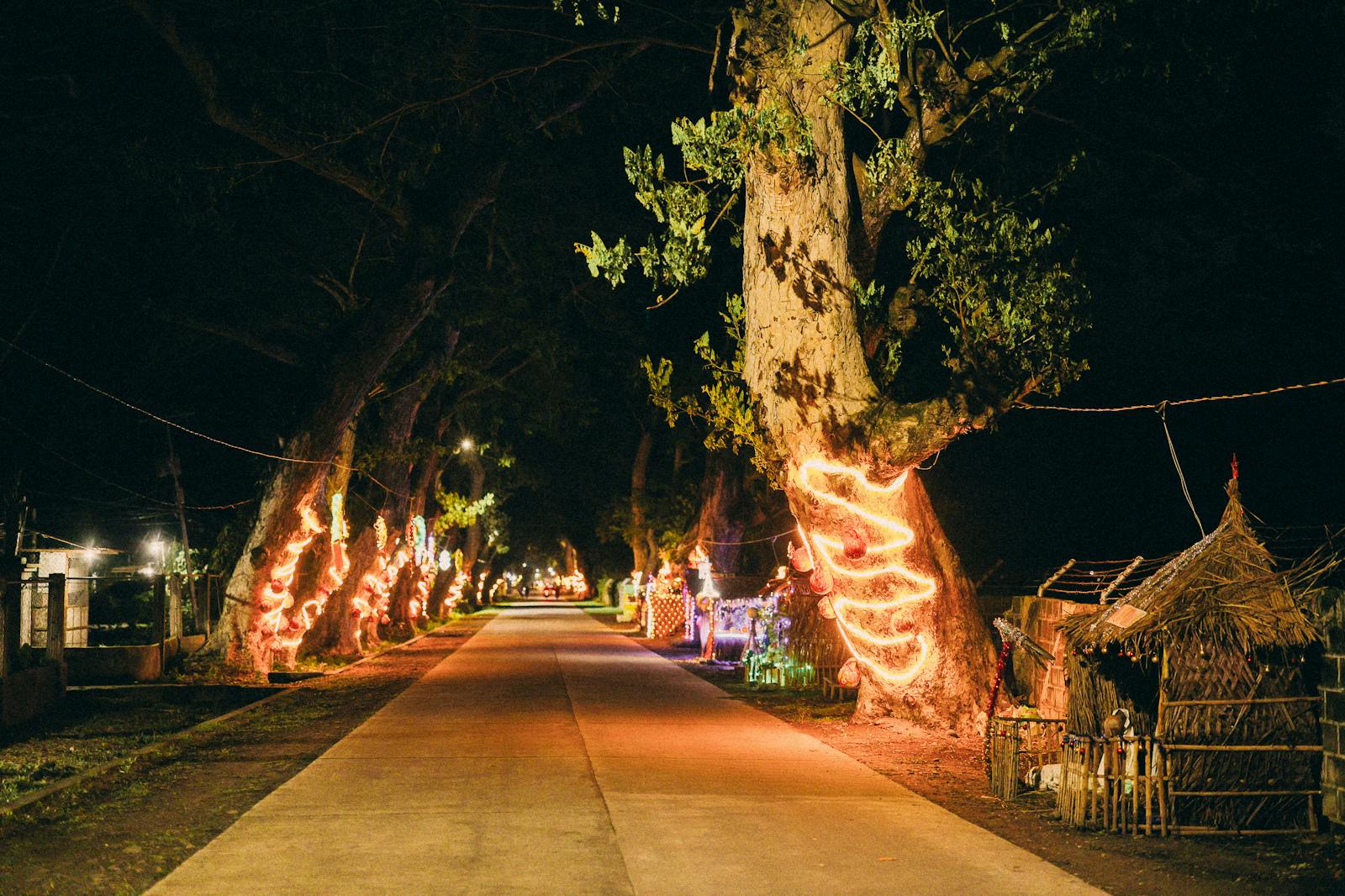Tree Line Photos, Download The BEST Free Tree Line Stock Photos & HD Images