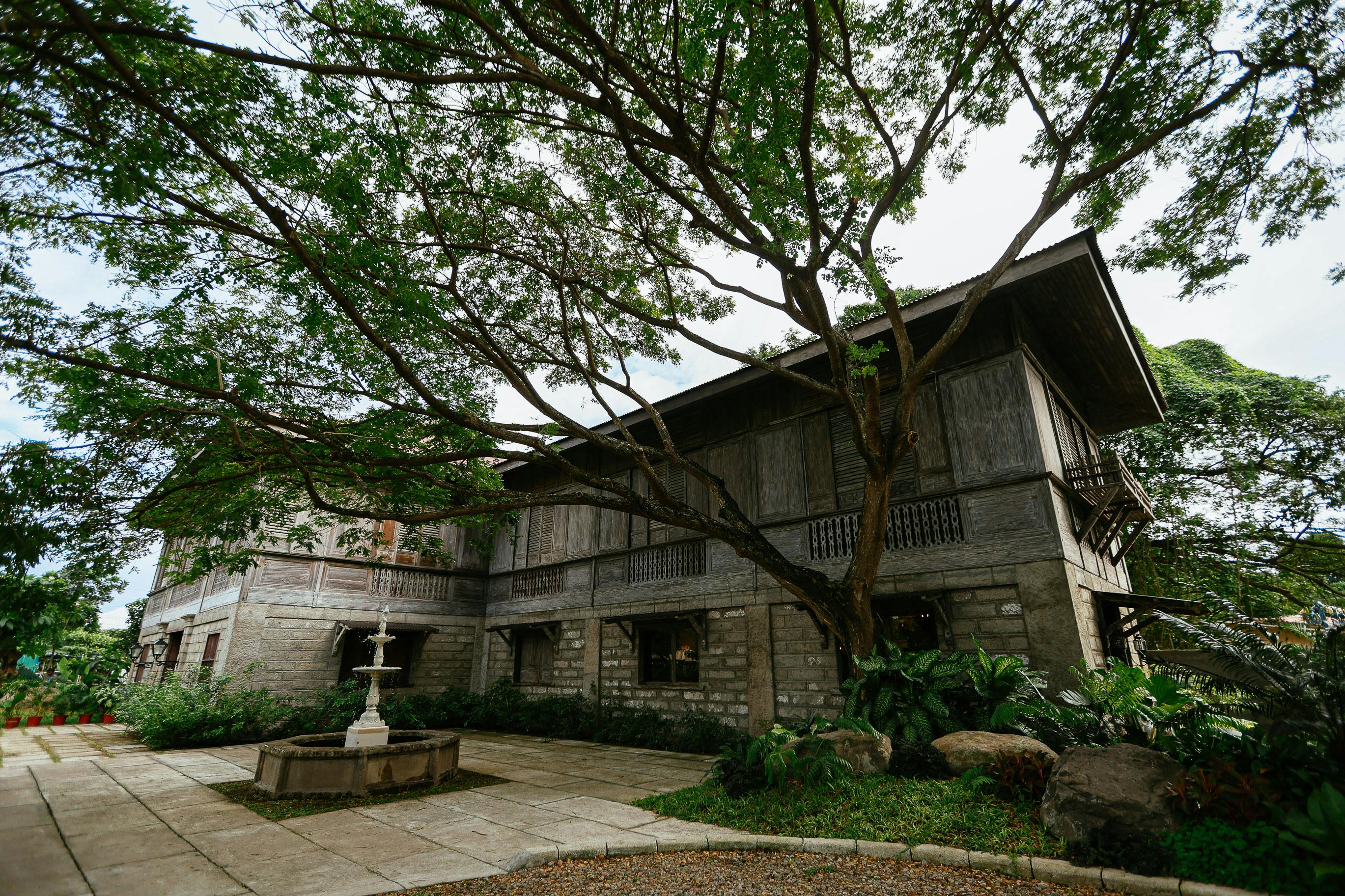 Charming Rustic House Under Sprawling Tree · Free Stock Photo
