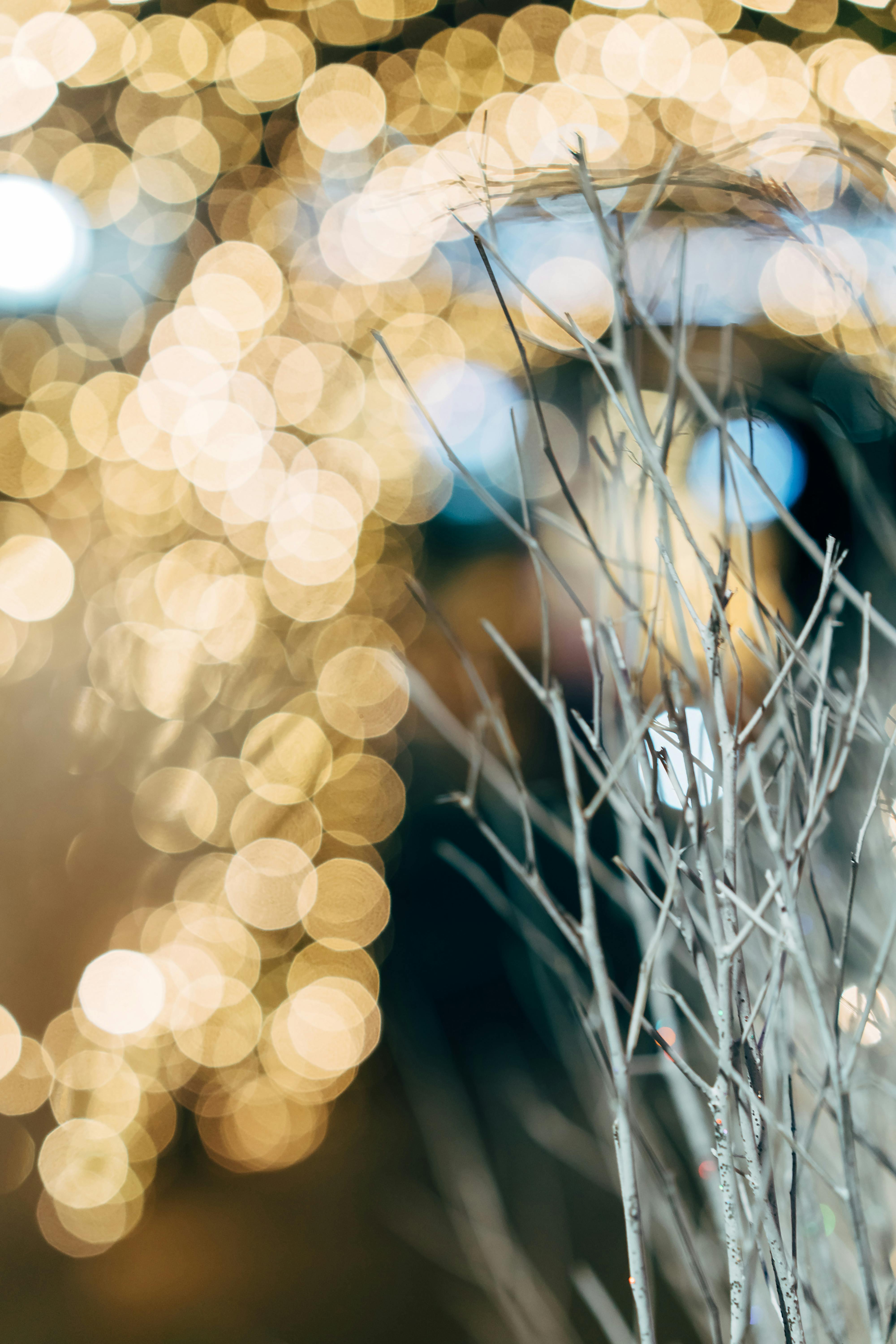 Lights Out Photos, Download The BEST Free Lights Out Stock Photos & HD ...