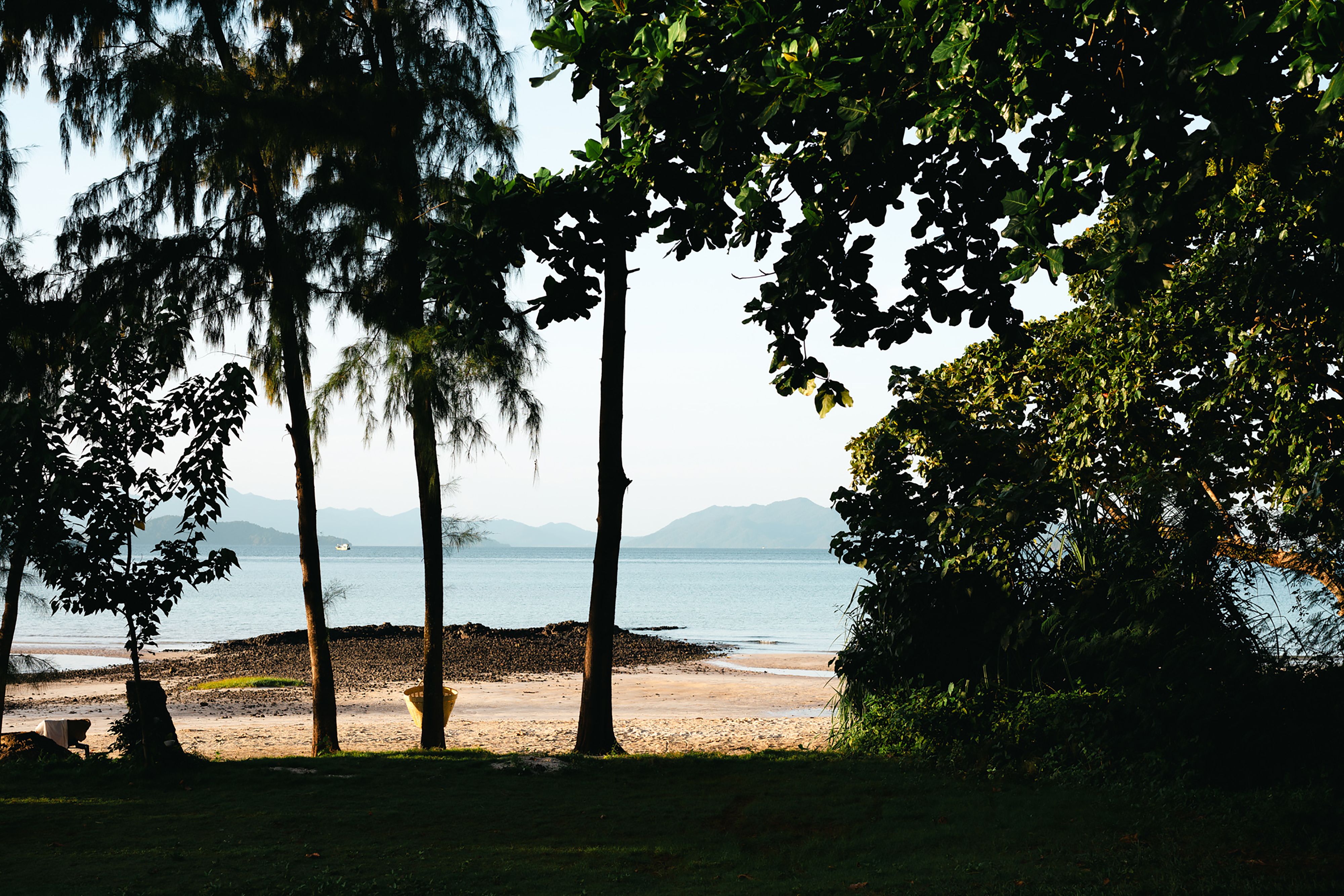 Seaside Foliage Photos, Download The BEST Free Seaside Foliage Stock ...