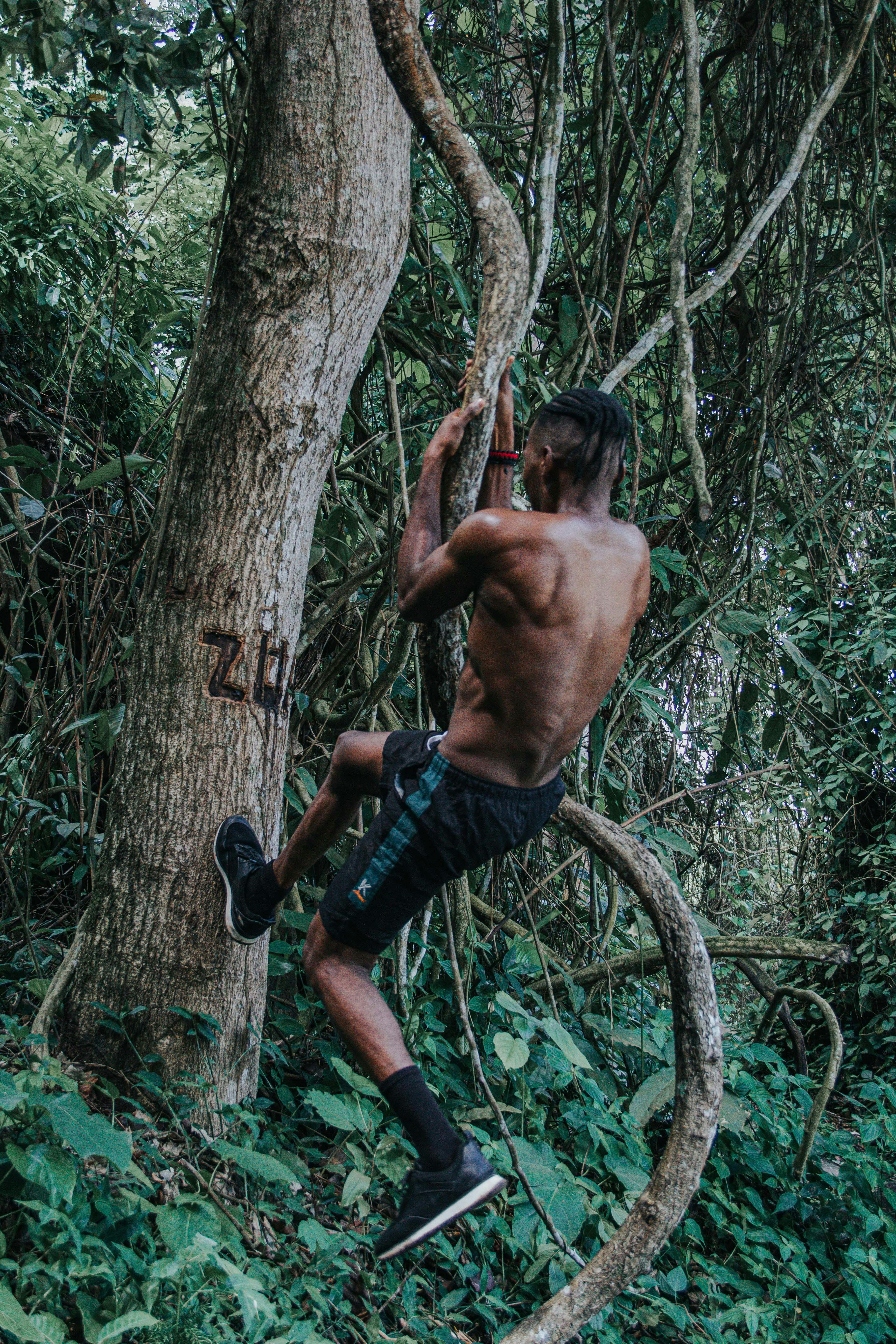 Strong Man Climbing Tree in Dense Jungle · Free Stock Photo