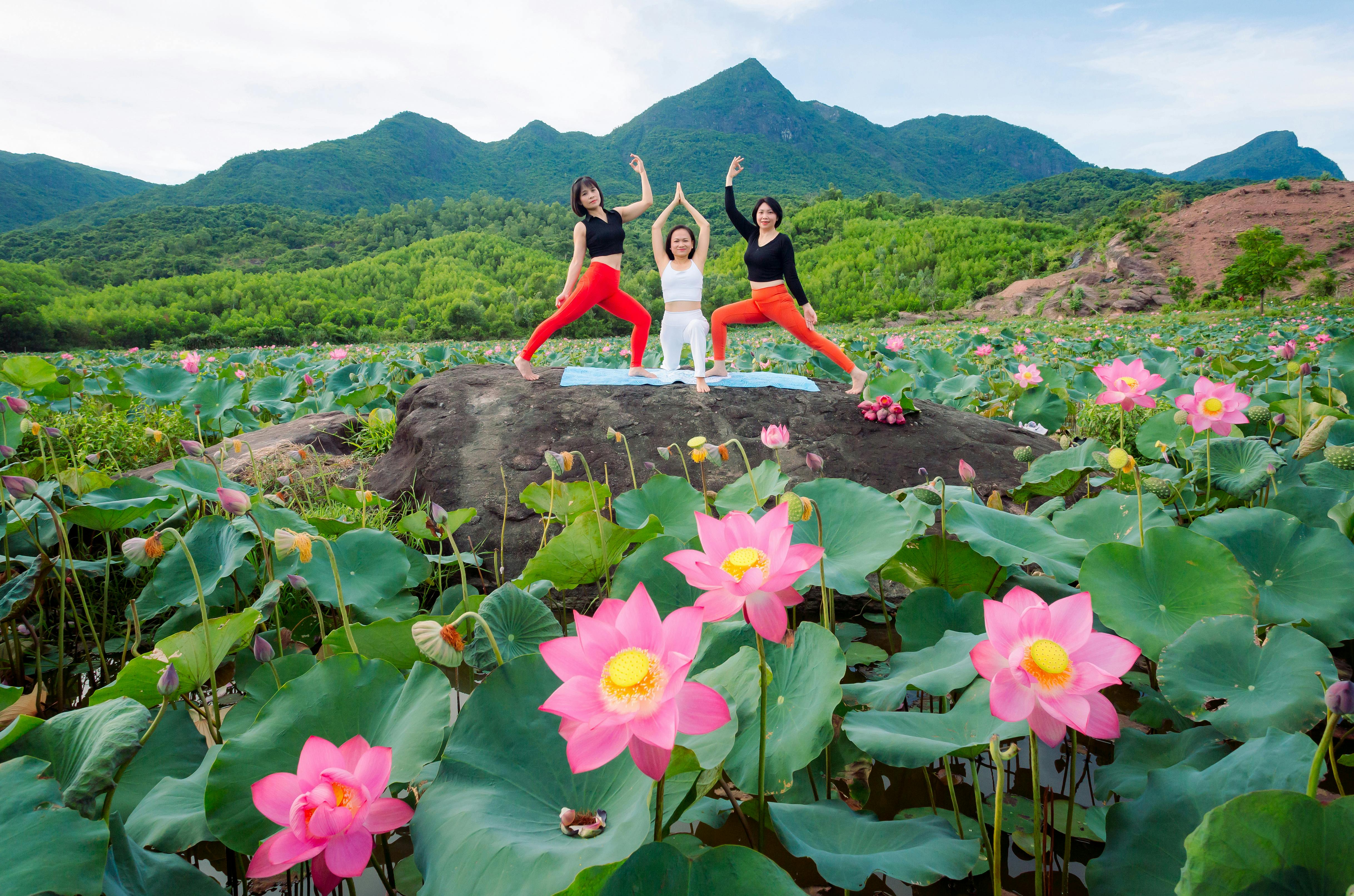 Pink Community Photos, Download The BEST Free Pink Community Stock ...