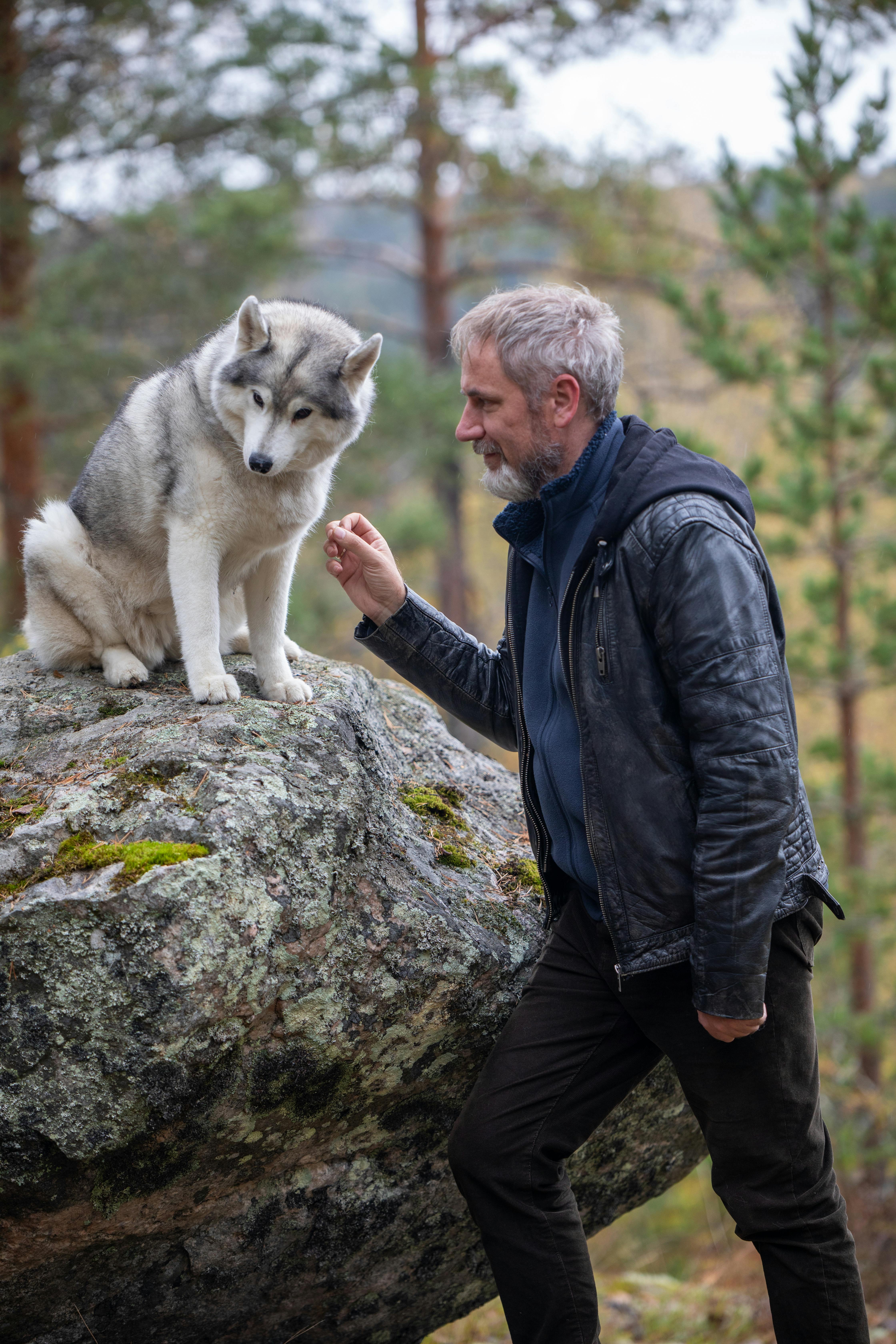 Dog With Humans Animation Photos, Download The BEST Free Dog With ...