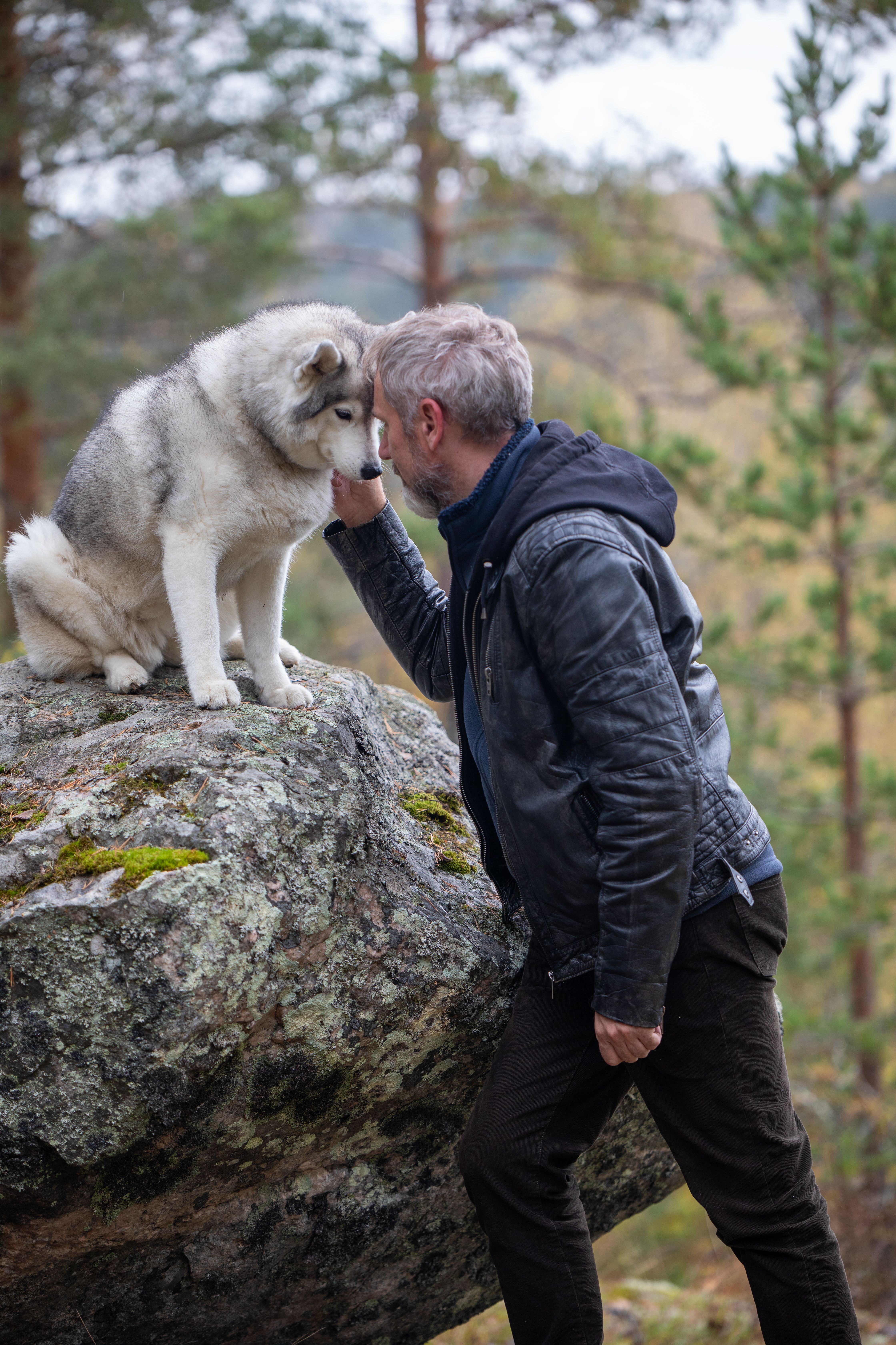 Man Bonding with Husky in Forest Setting · Free Stock Photo